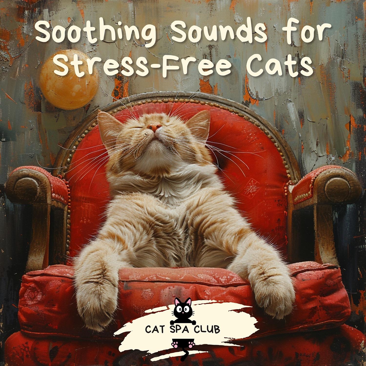 Music for Cat Relaxation - Cat Spa Club/Music For Cats Peace/Music for ...