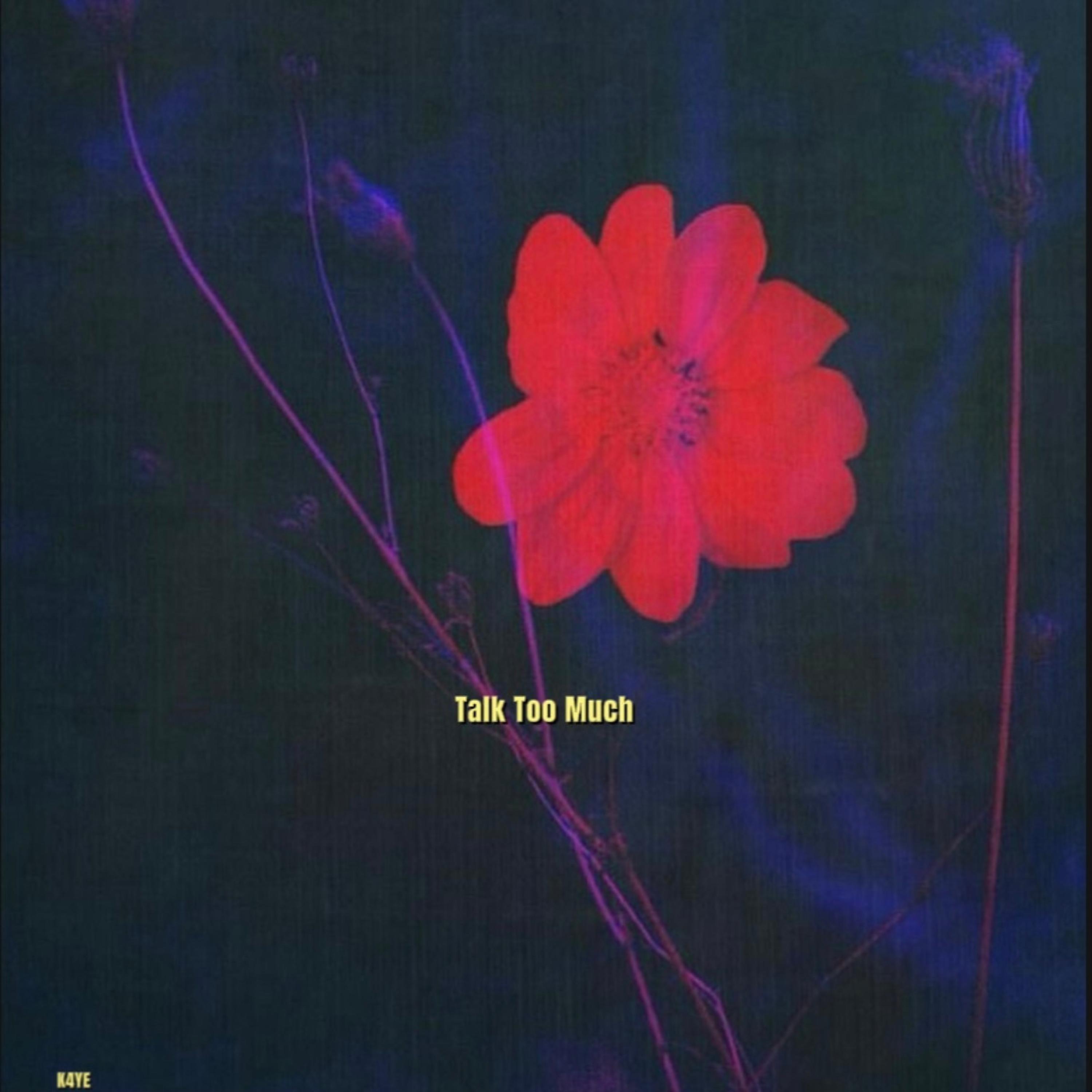 Talk Too Much - K4YE - 专辑 - 网易云音乐