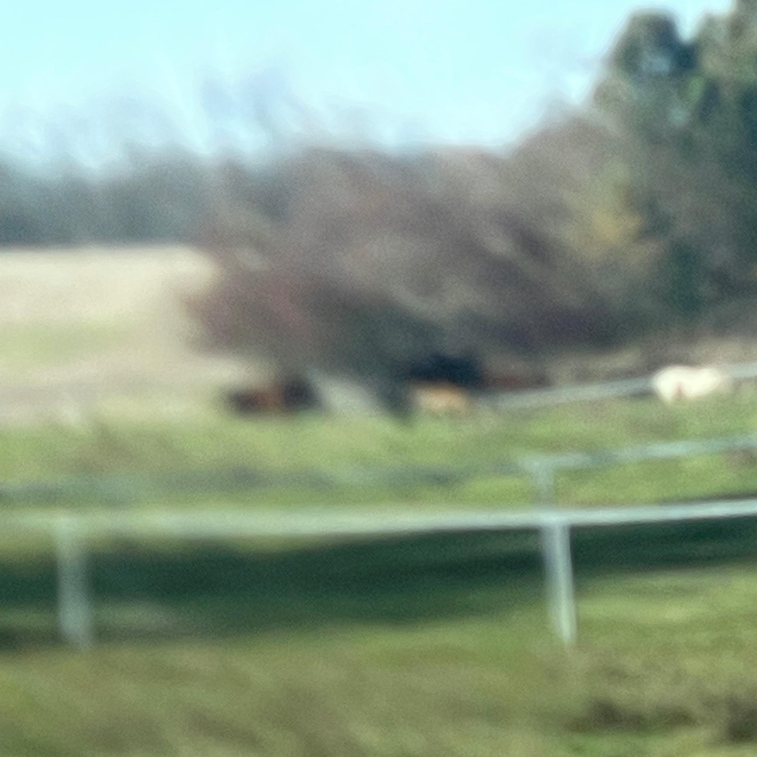 Levolution - Aaron Kramer - 单曲 - 网易云音乐