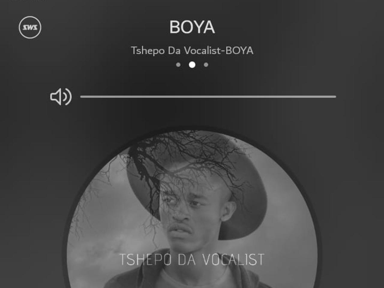 TSHEPO DA VOCALIST - 歌手 - 网易云音乐