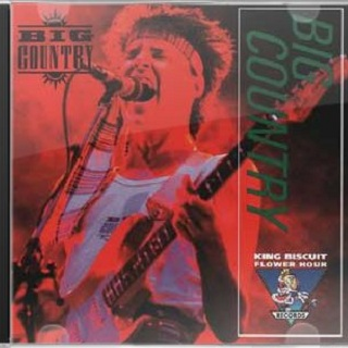 Interview With Stuart Adamson - Big Country - 单曲 - 网易云音乐