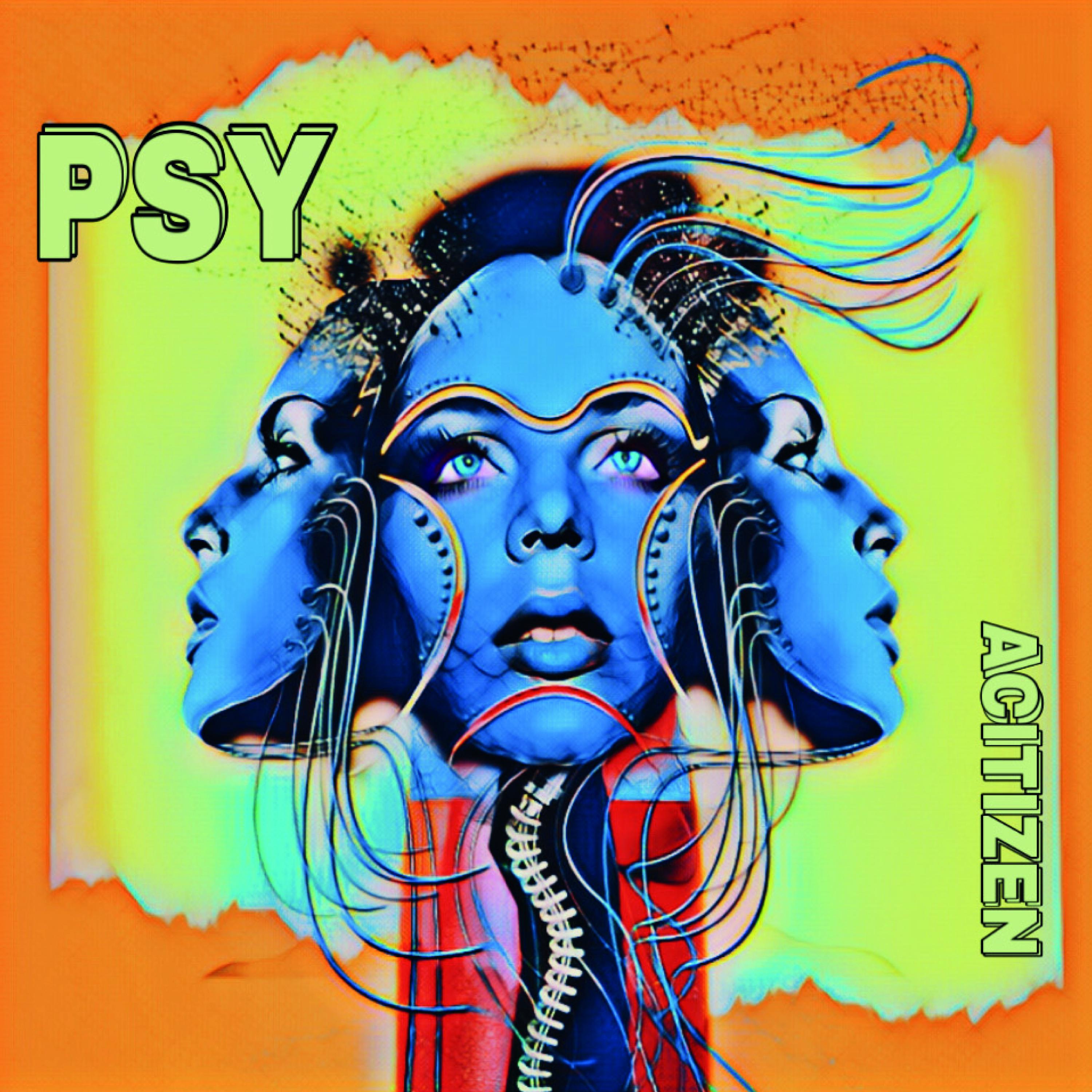 Psy/Goa - Acitizen - 专辑 - 网易云音乐