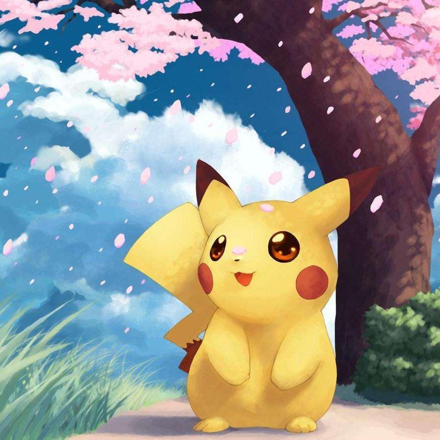 gvhbj - 雪松老师 - 专辑 - 网易云音乐