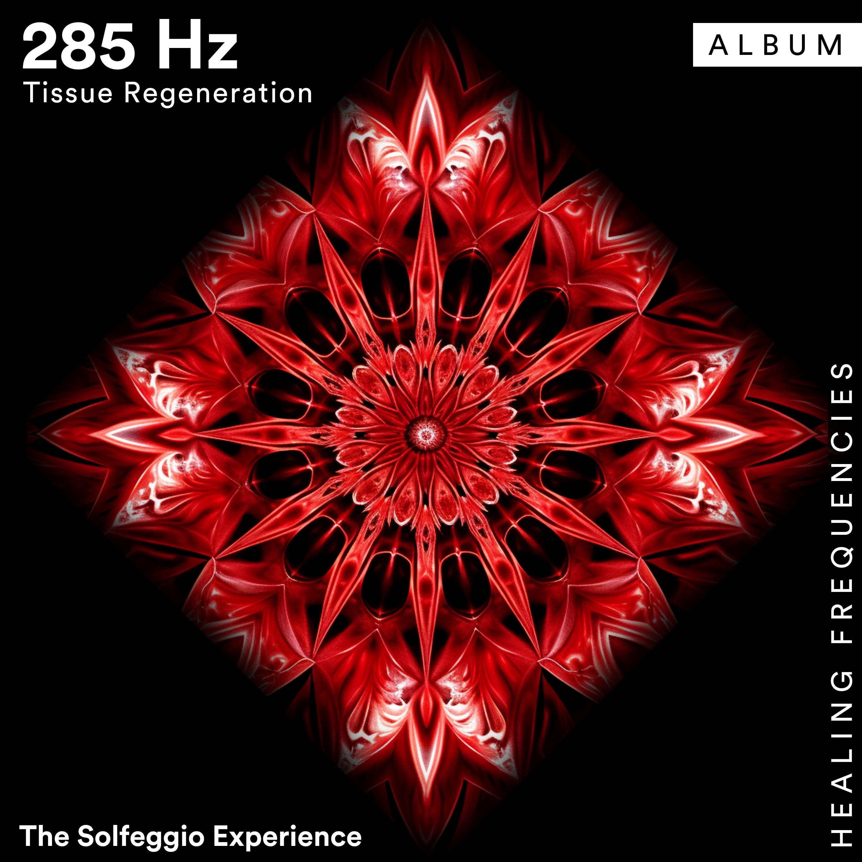 285 Hz - Healing Solfeggio Frequency - The Solfeggio Experience - 单曲 ...
