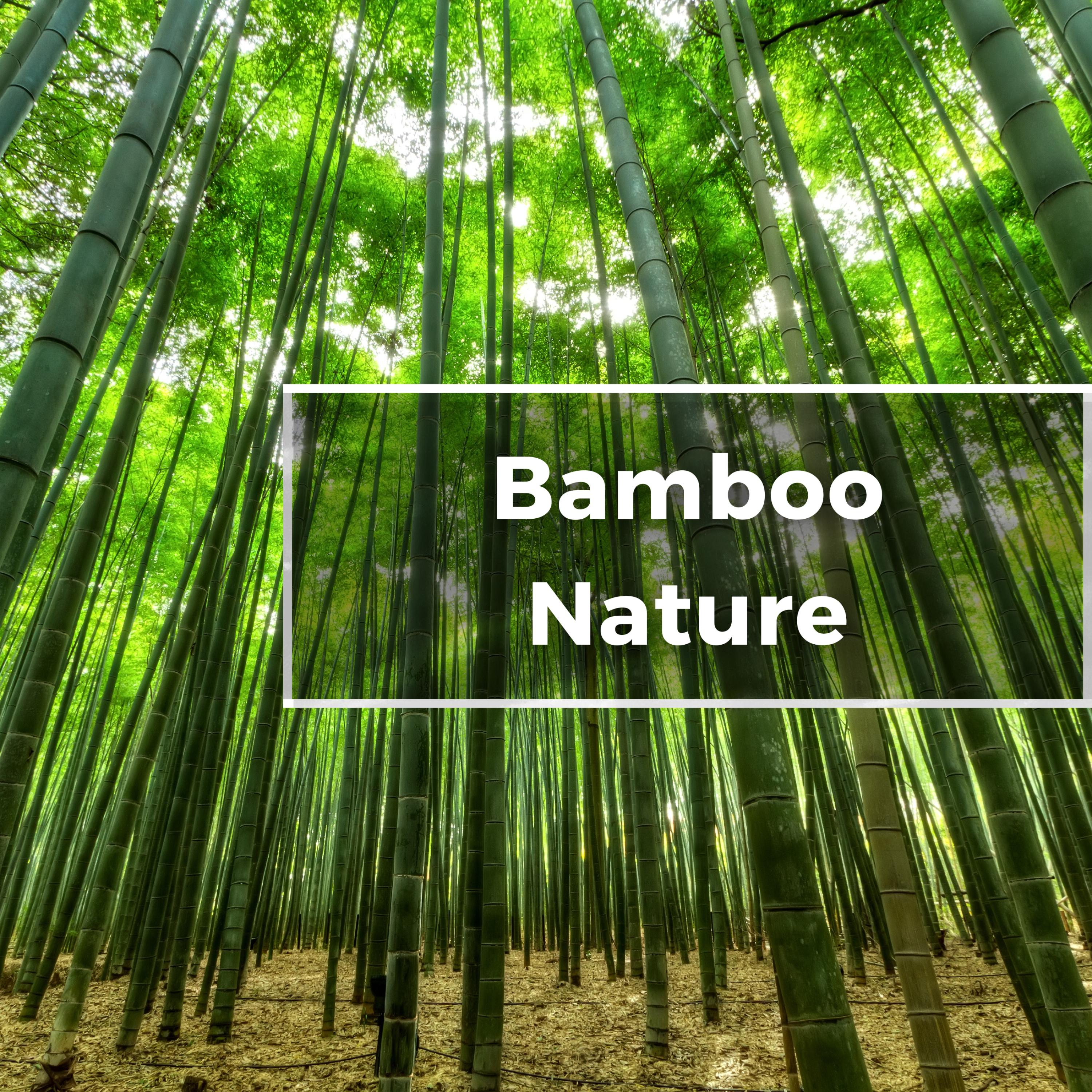 Bamboo Peak - Nature's Frequencies/Shakuhachi Sakano/Bamboo sounds - 单曲 ...
