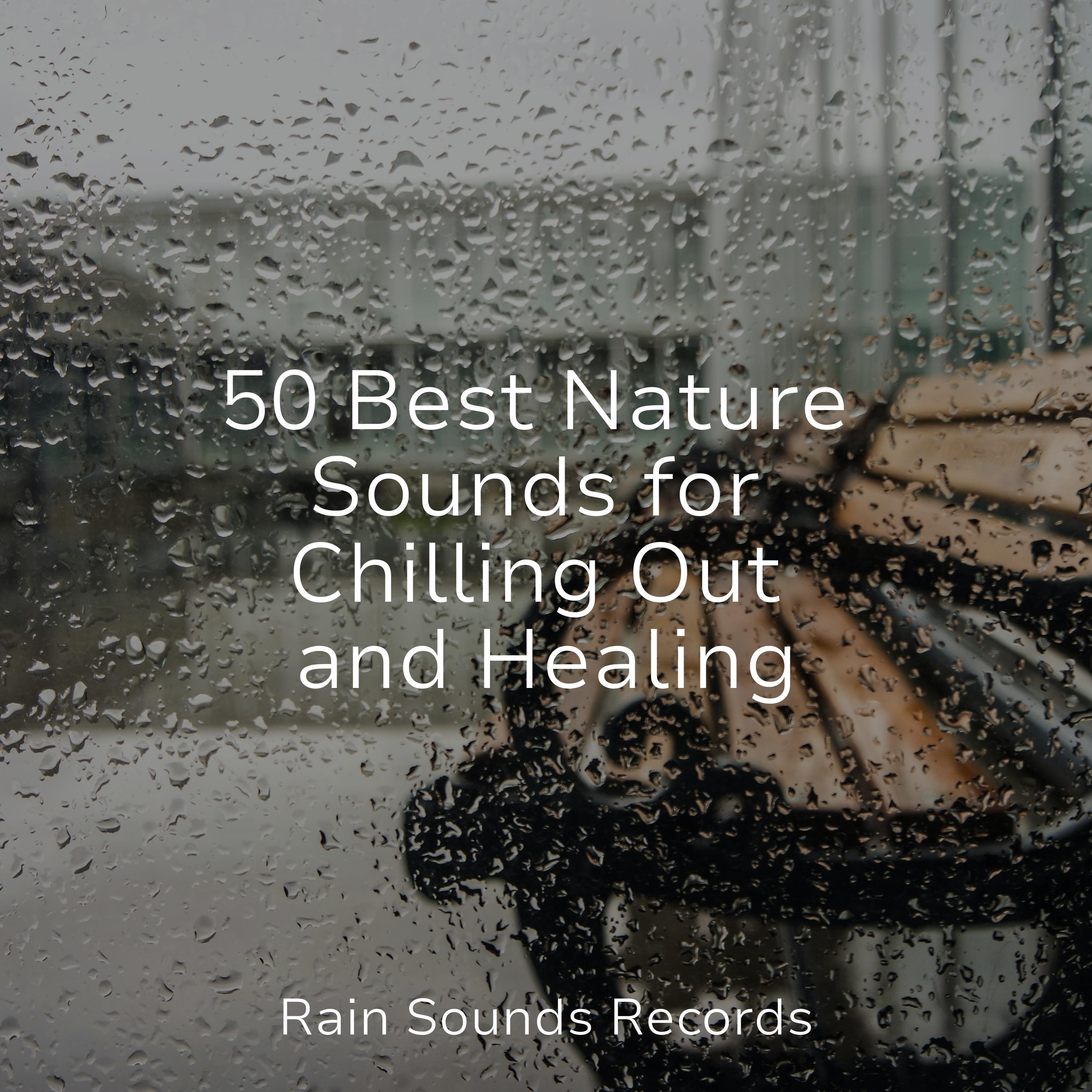 Rainstorm Rhythm - Nature Sounds/Pro Sound Effects Library/Zen Music ...