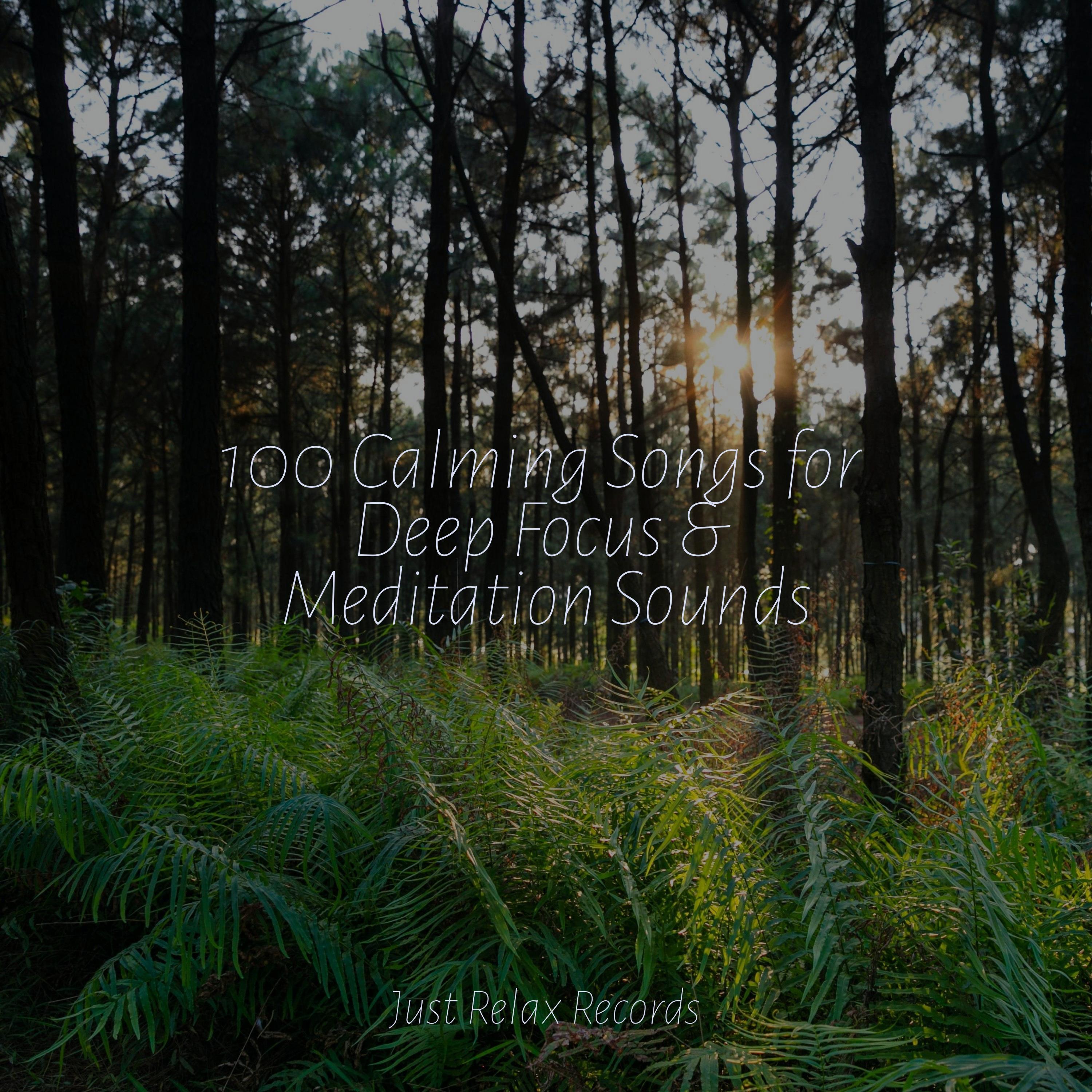 100 Calming Songs for Deep Focus & Meditation Sounds - Musica para ...
