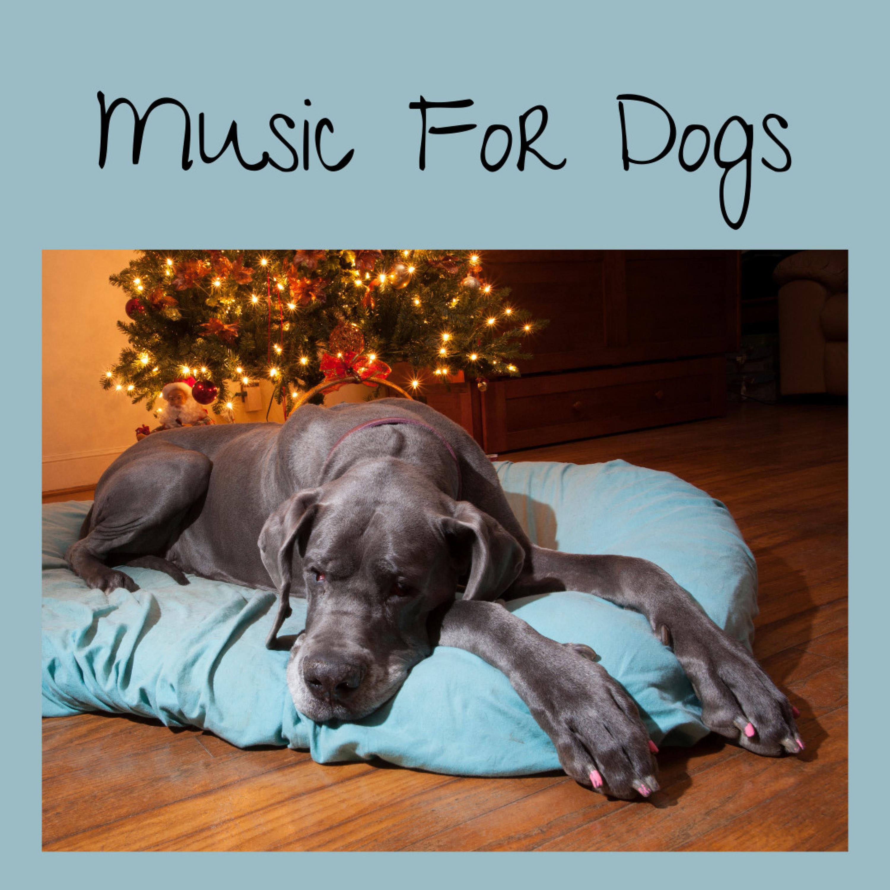 Zero Bark Thirty - Music For Dogs/Music For Dogs Peace/Relaxing Puppy ...