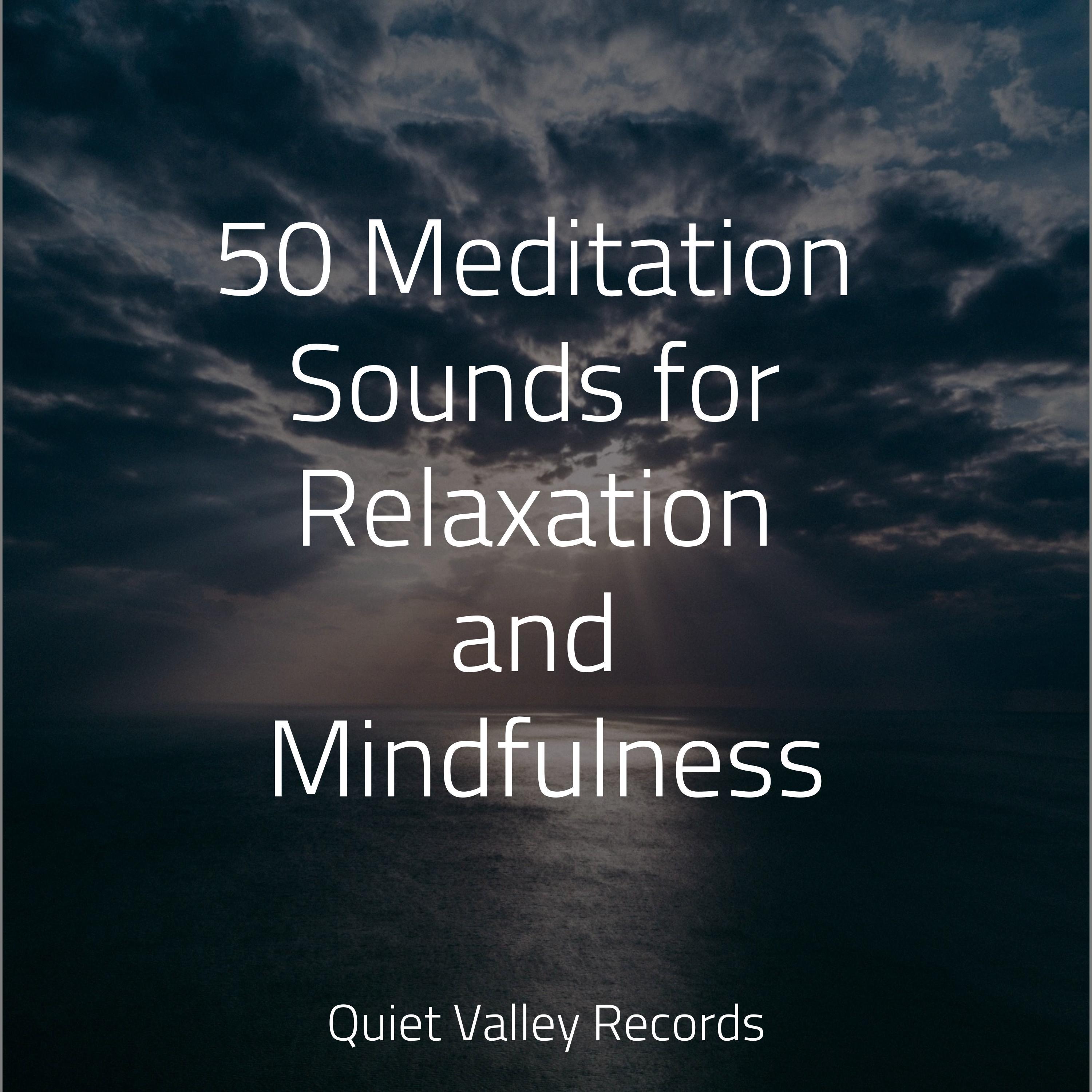 50 Meditation Sounds for Relaxation and Mindfulness For Dogs ...