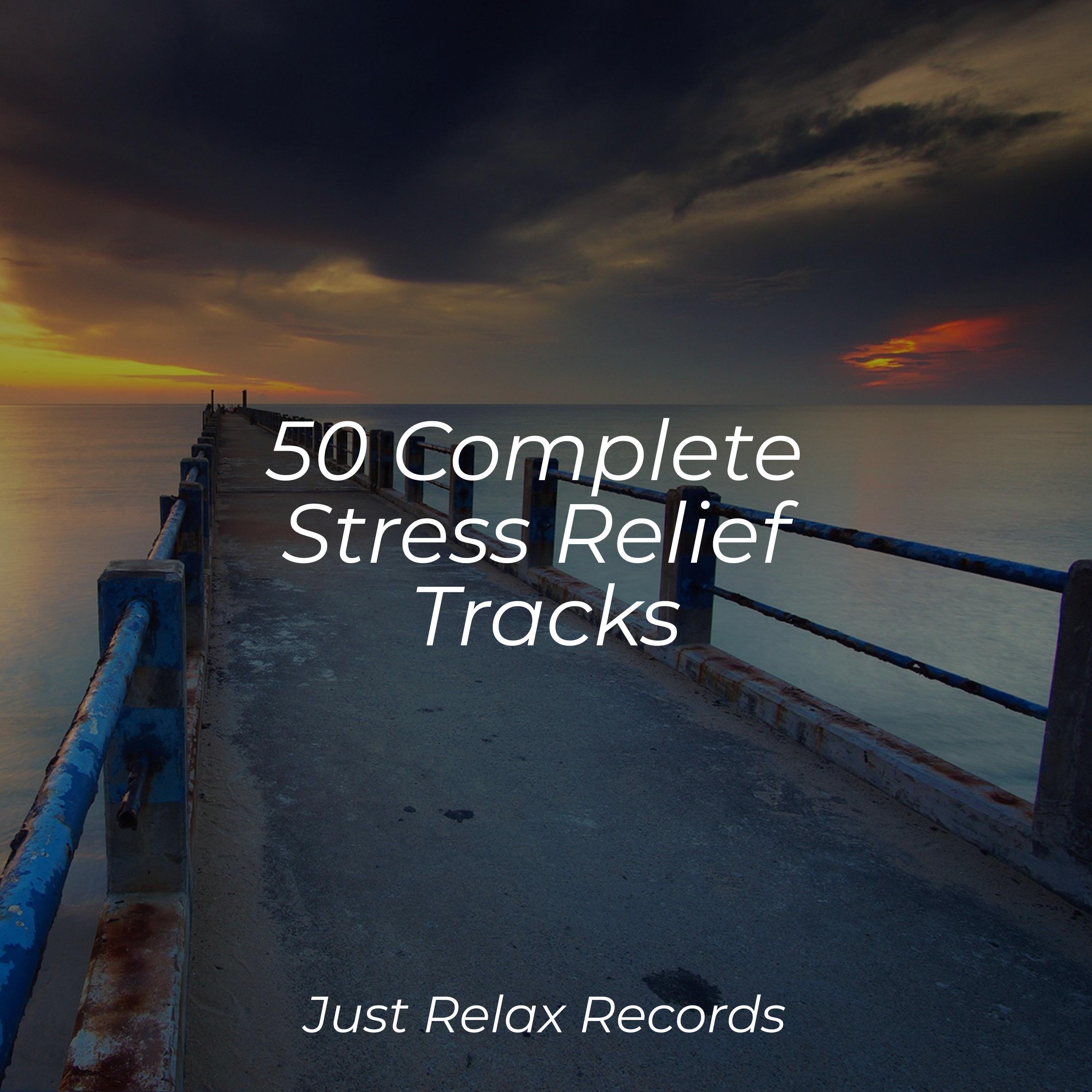 50 Complete Stress Relief Tracks - Nature Sounds Nature Music - 专辑 - 网易云音乐
