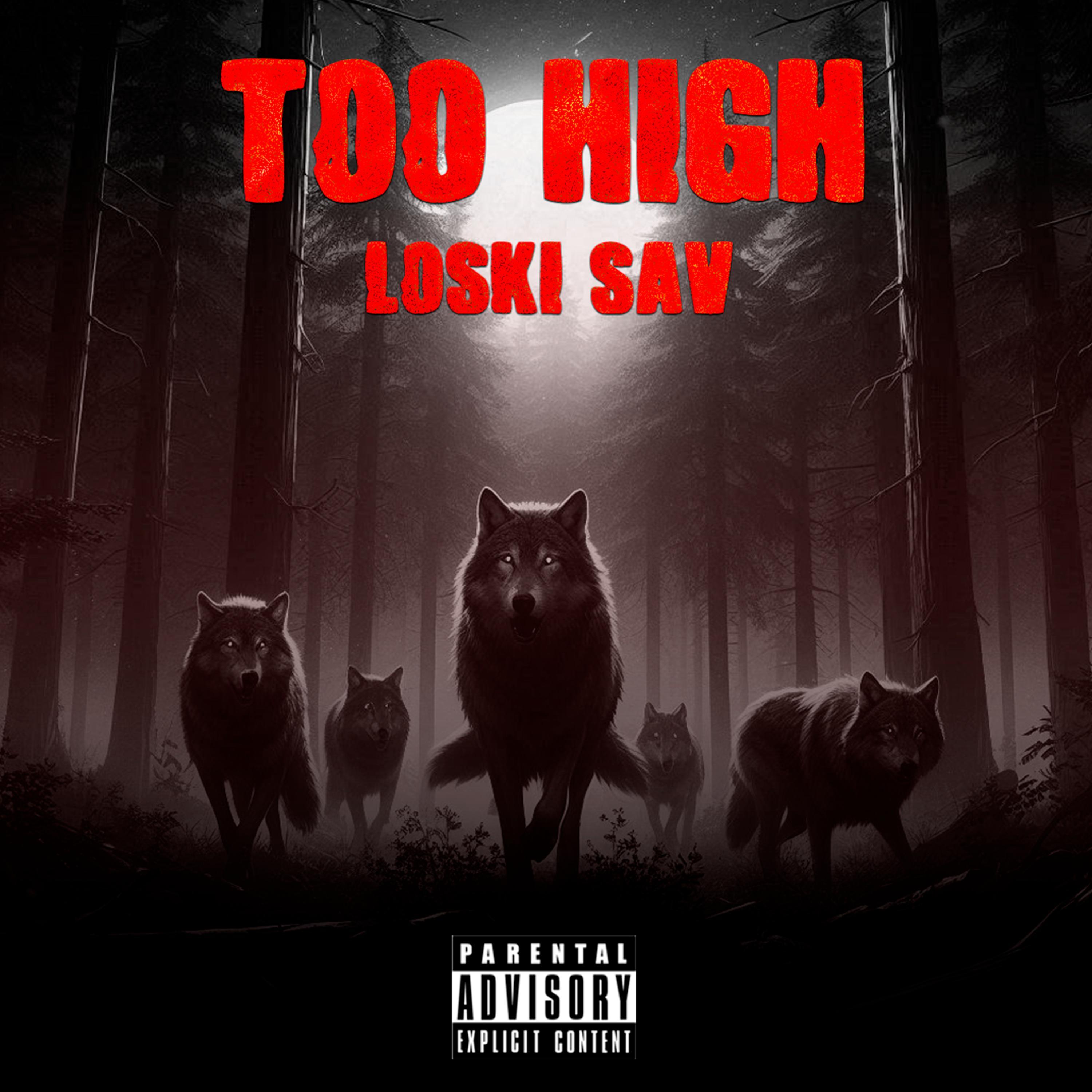 Wockhardt - LoskiSav/No Love Lil Jay - 单曲 - 网易云音乐