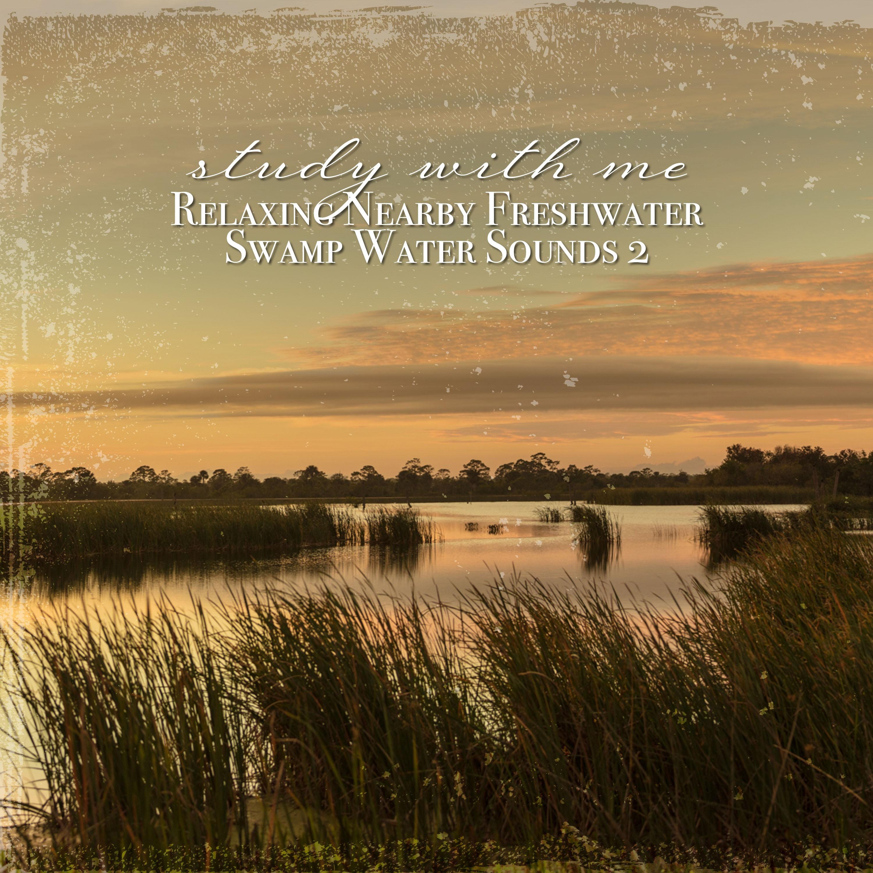 Relaxing Nearby Freshwater Swamp Water Sounds, Pt. 20 - Sebastian Riegl ...