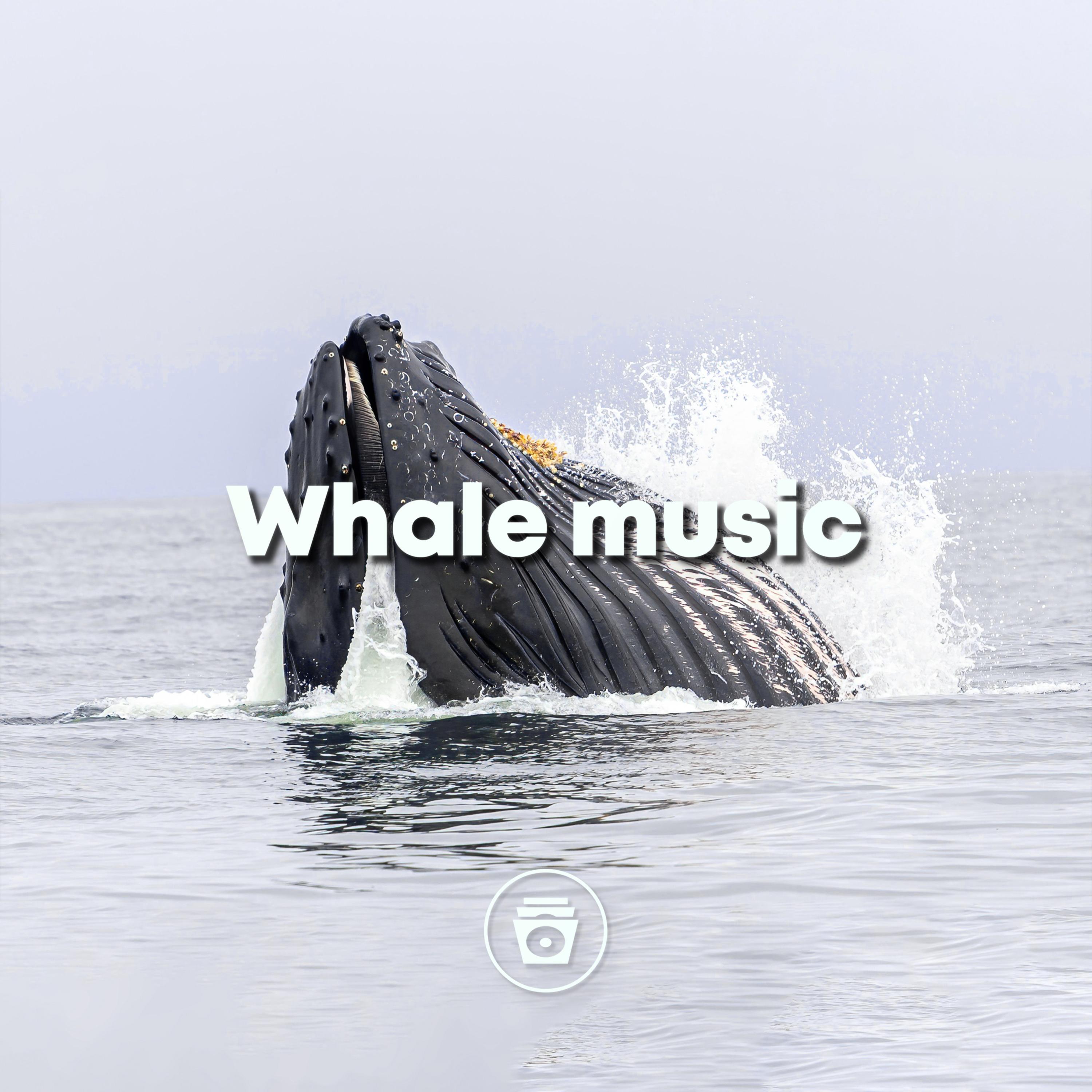 Passing By - Whale Sounds For Relaxation - 单曲 - 网易云音乐