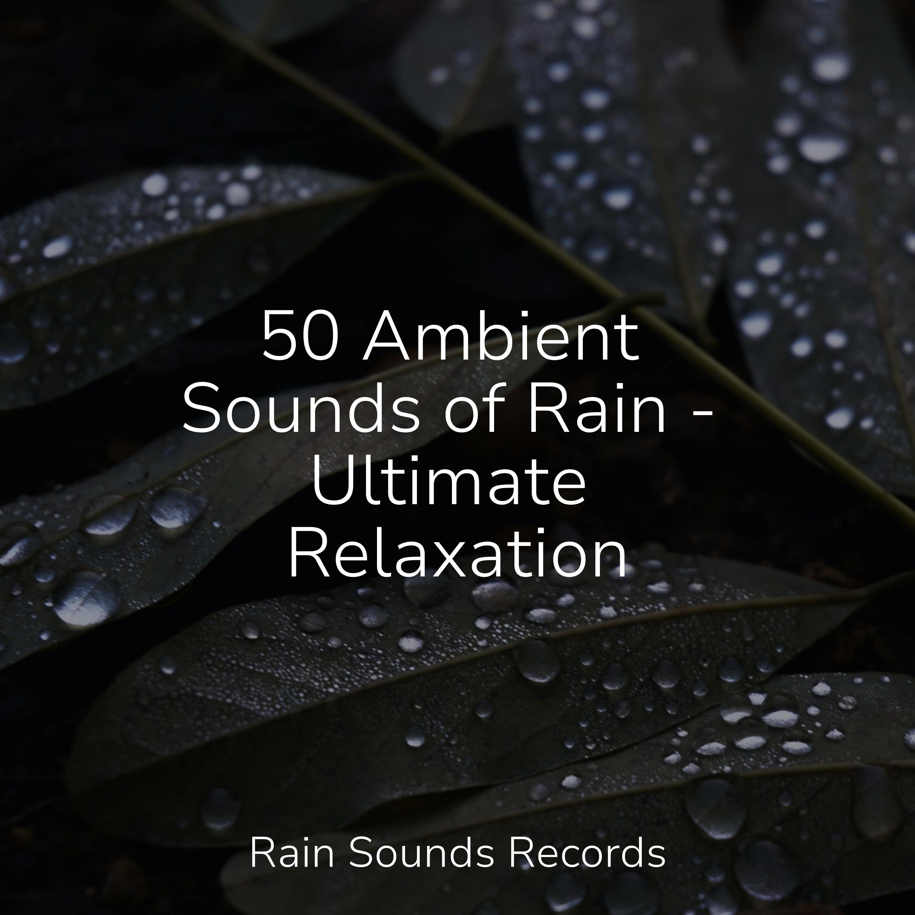 50 Ambient Sounds of Rain - Ultimate Relaxation - Calming Sounds - 专辑 ...