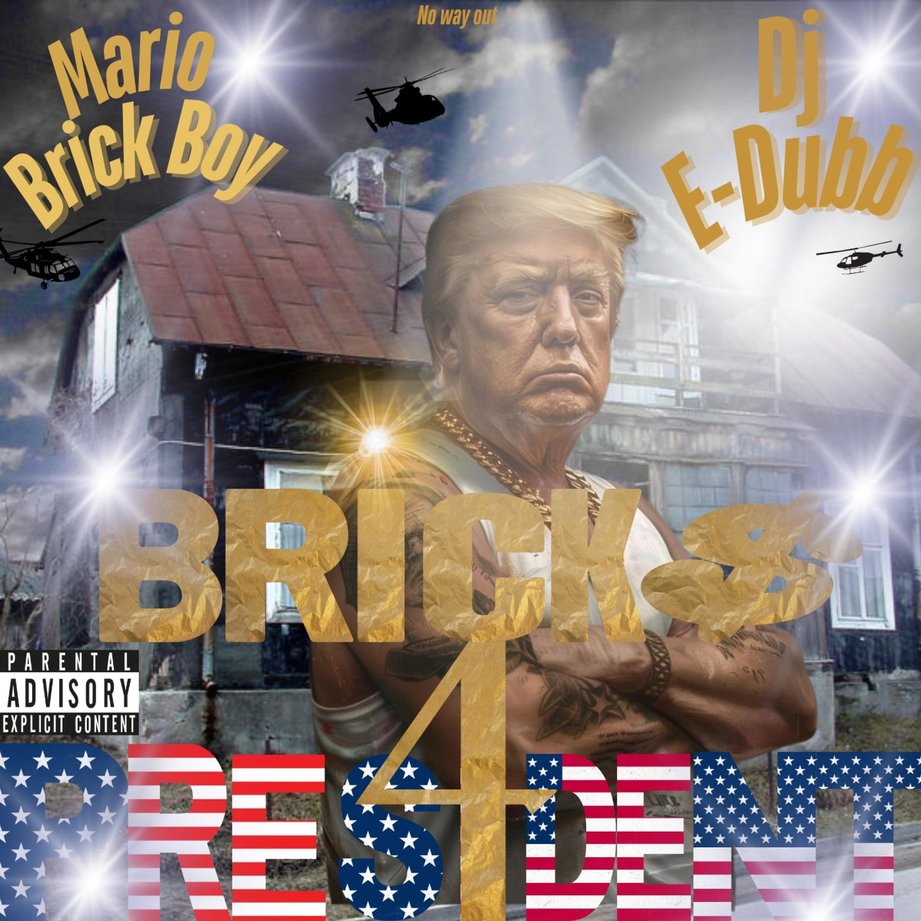 Bricks 4 President - Mario Brick Boy - 专辑 - 网易云音乐