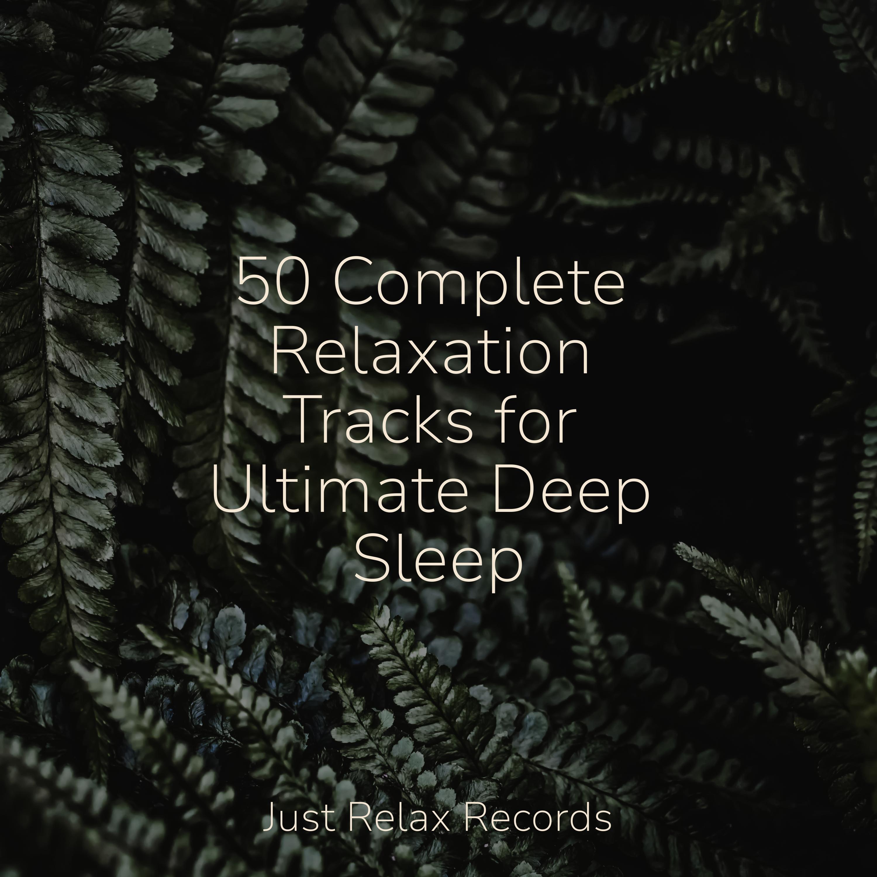 50 Complete Relaxation Tracks for Ultimate Deep Sleep - Relaxamento ...