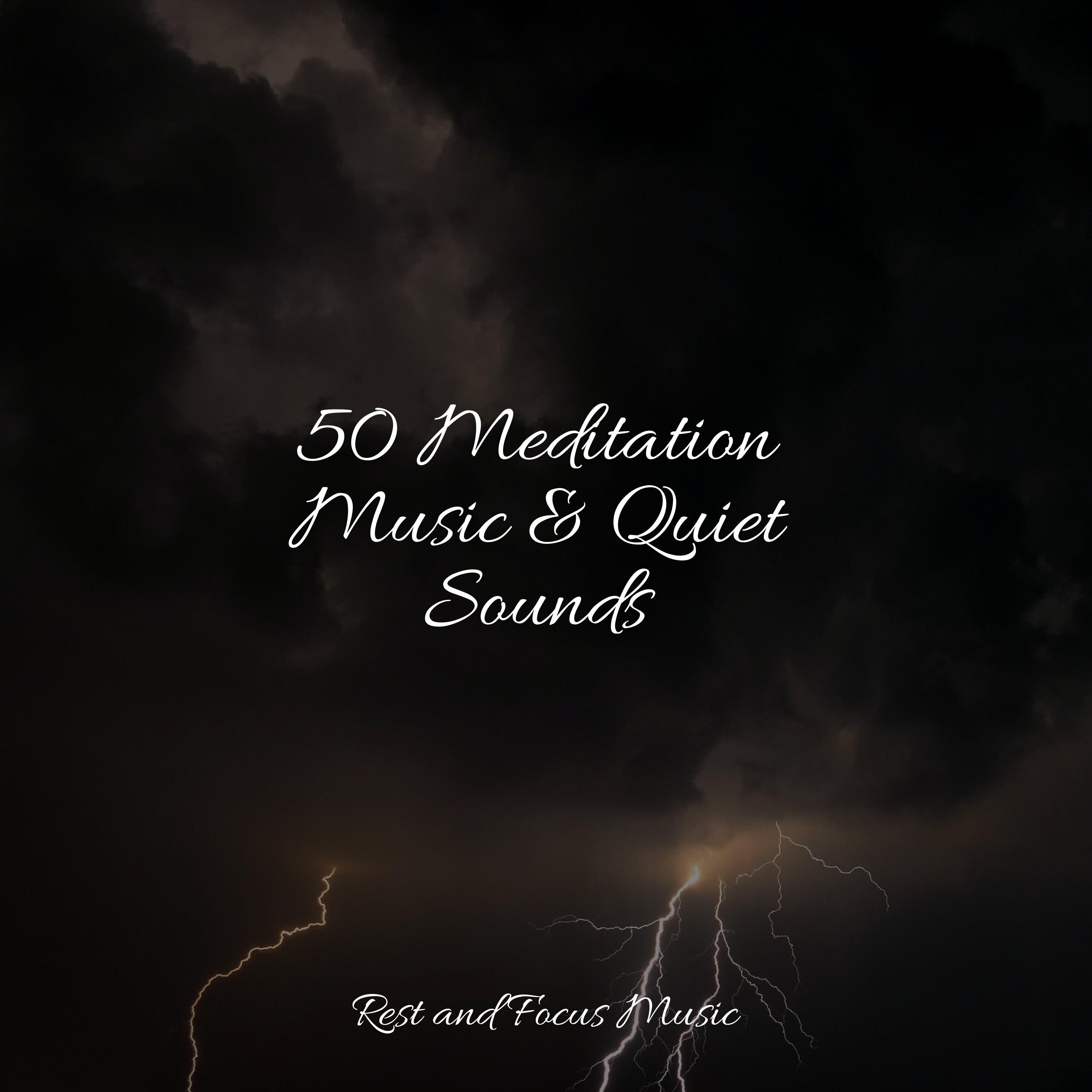 50 Meditation Music & Quiet Sounds - Massage Therapy Music - 专辑 - 网易云音乐
