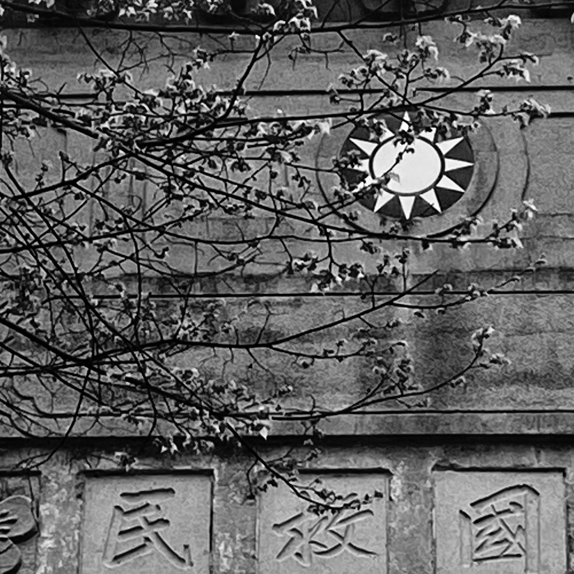 【288】Dr Drew After Dark w Mark Normand Ep 37 - 【Misc.】NBC news podcasts ...