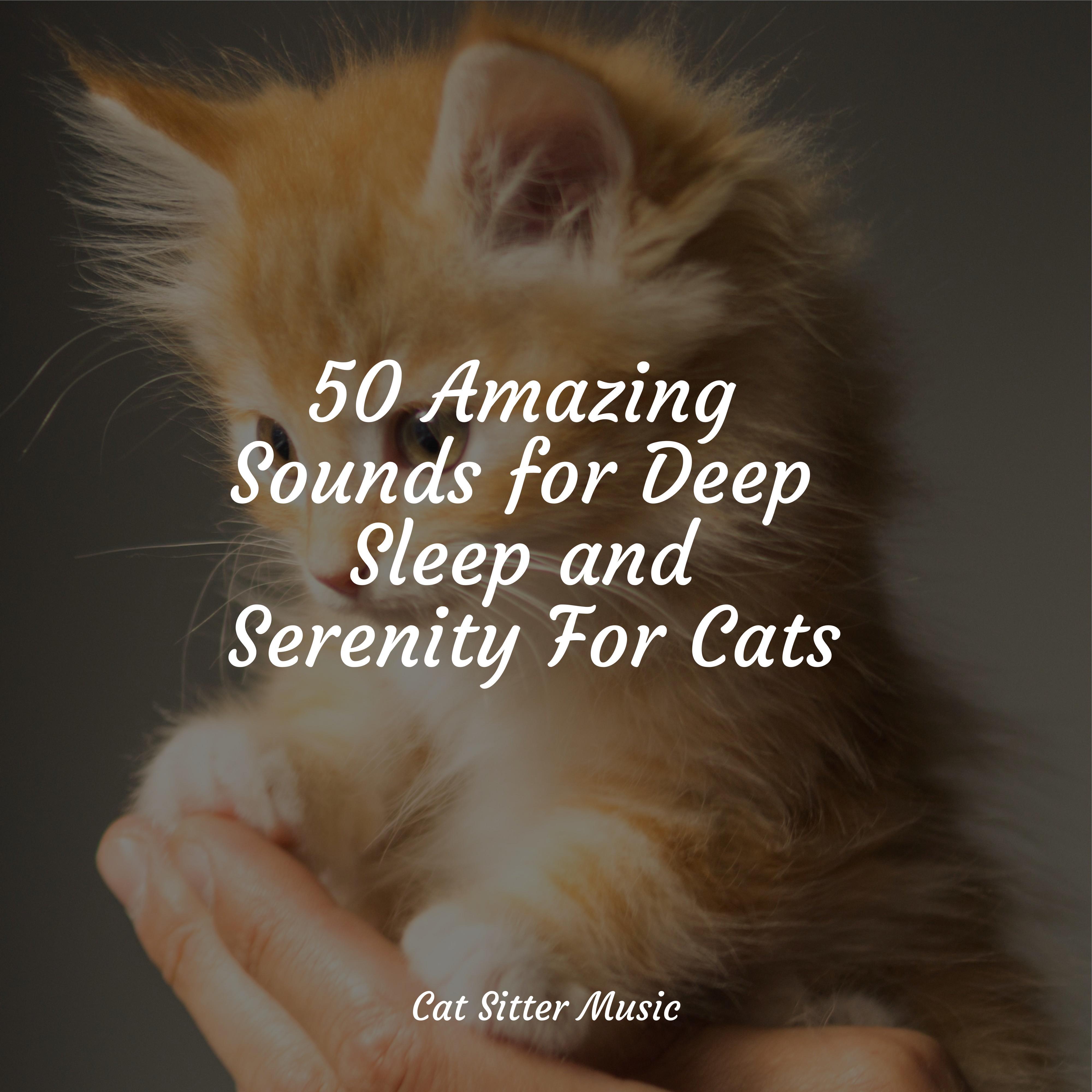 50 Amazing Sounds for Deep Sleep and Serenity For Cats - Music for Cats ...