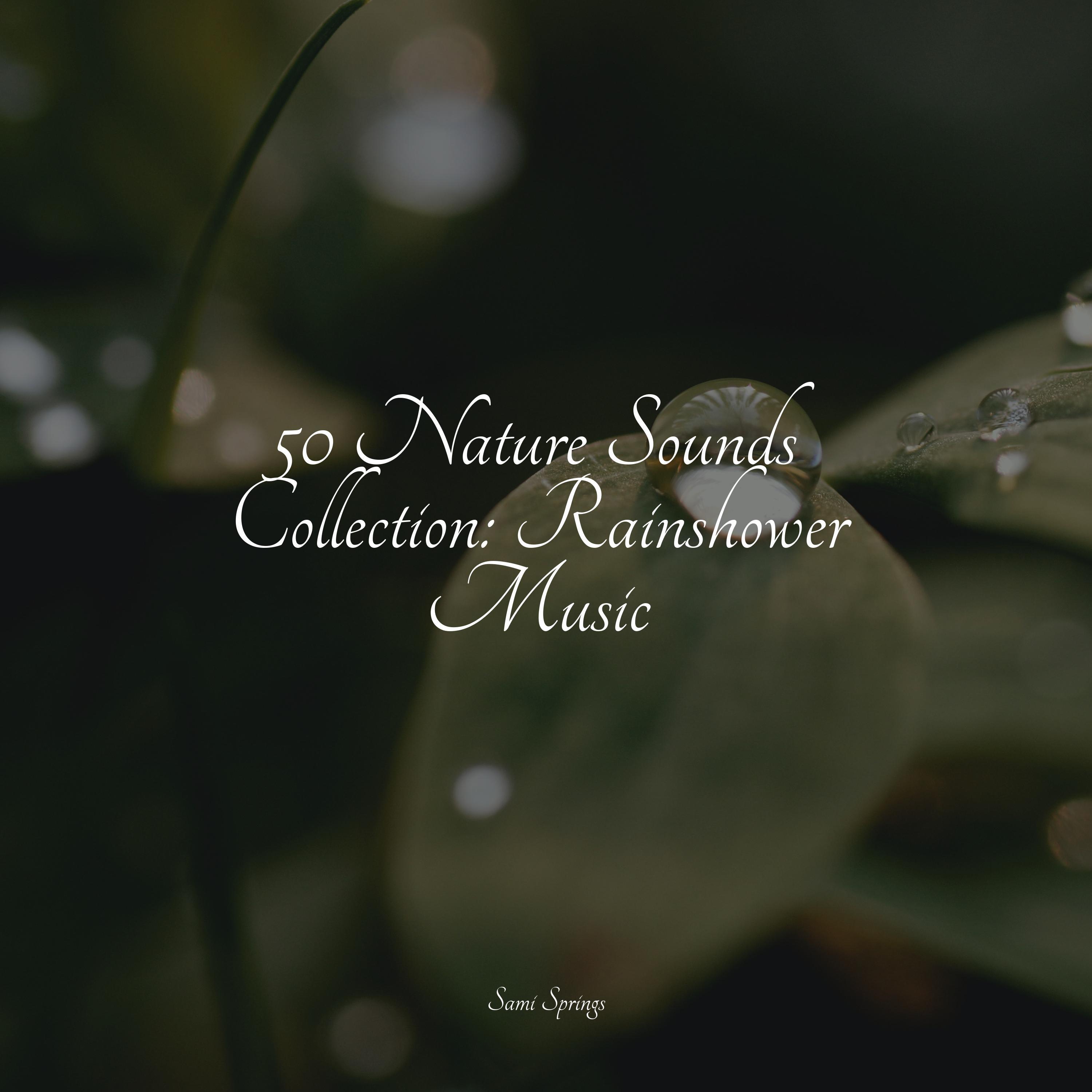 Frolicsome Waterway - Sleep Sound Library/Nature Sound Series/Binaural ...
