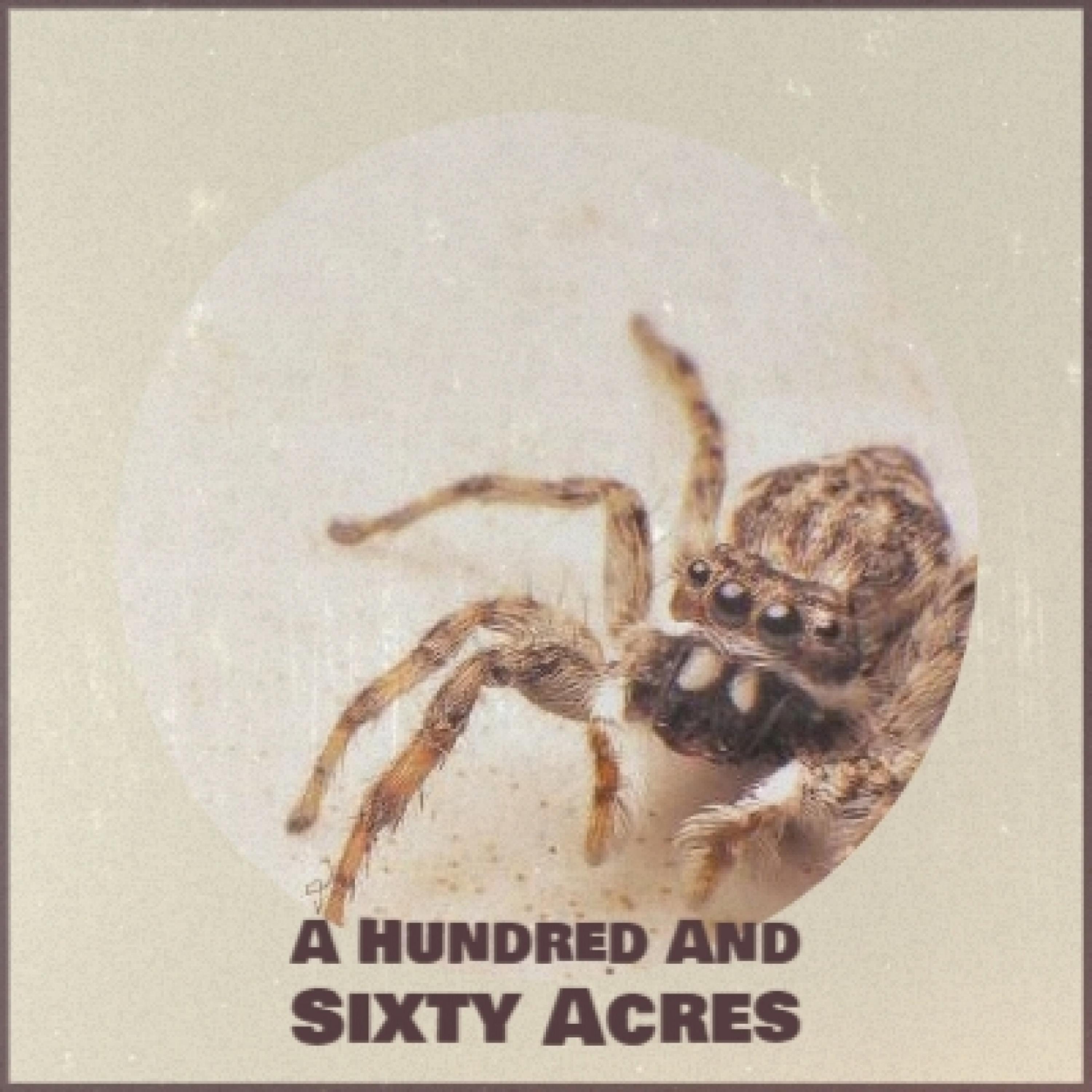 A Hundred And Sixty Acres - Various Artist - 专辑 - 网易云音乐