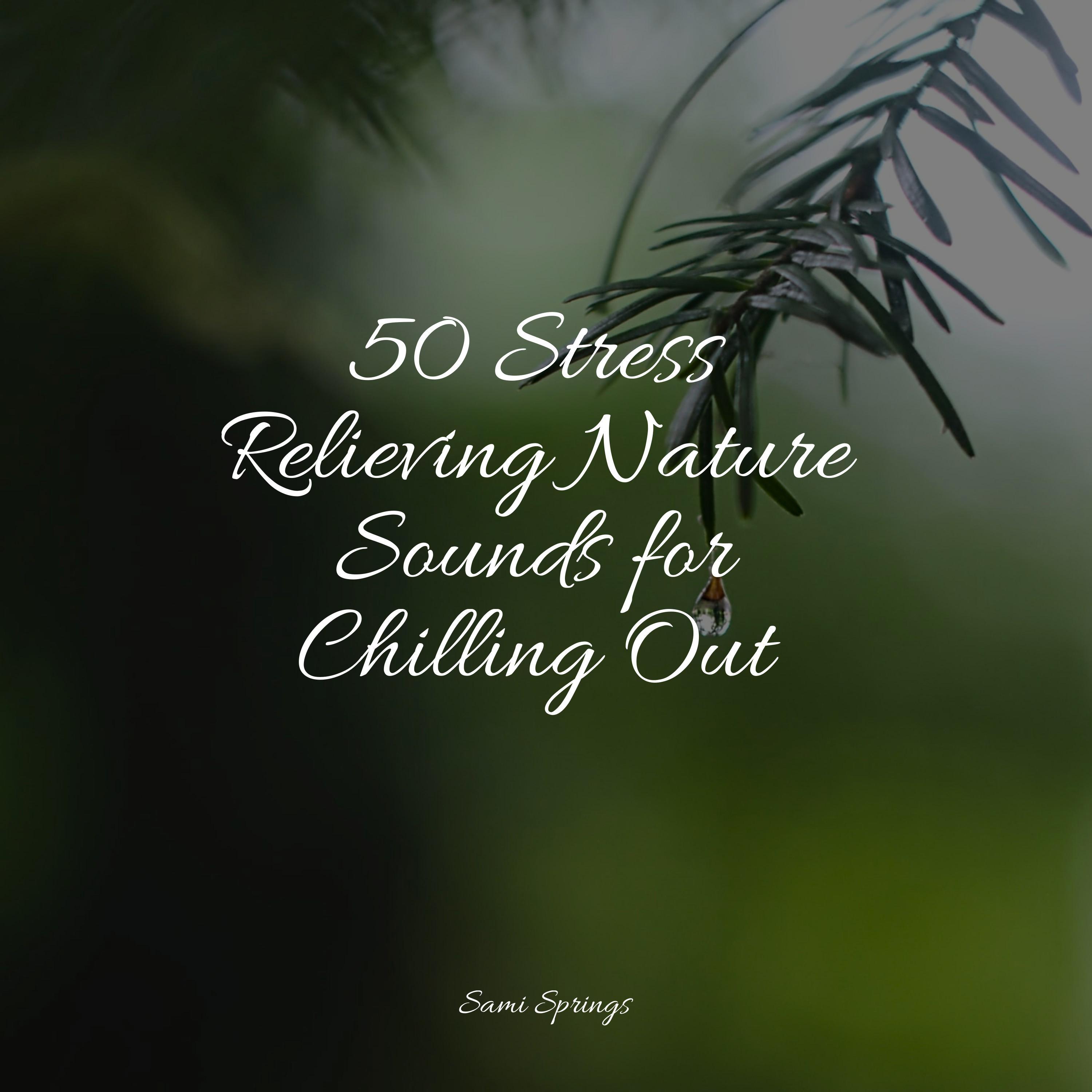 50 Stress Relieving Nature Sounds for Chilling Out - Relajación - 专辑 ...
