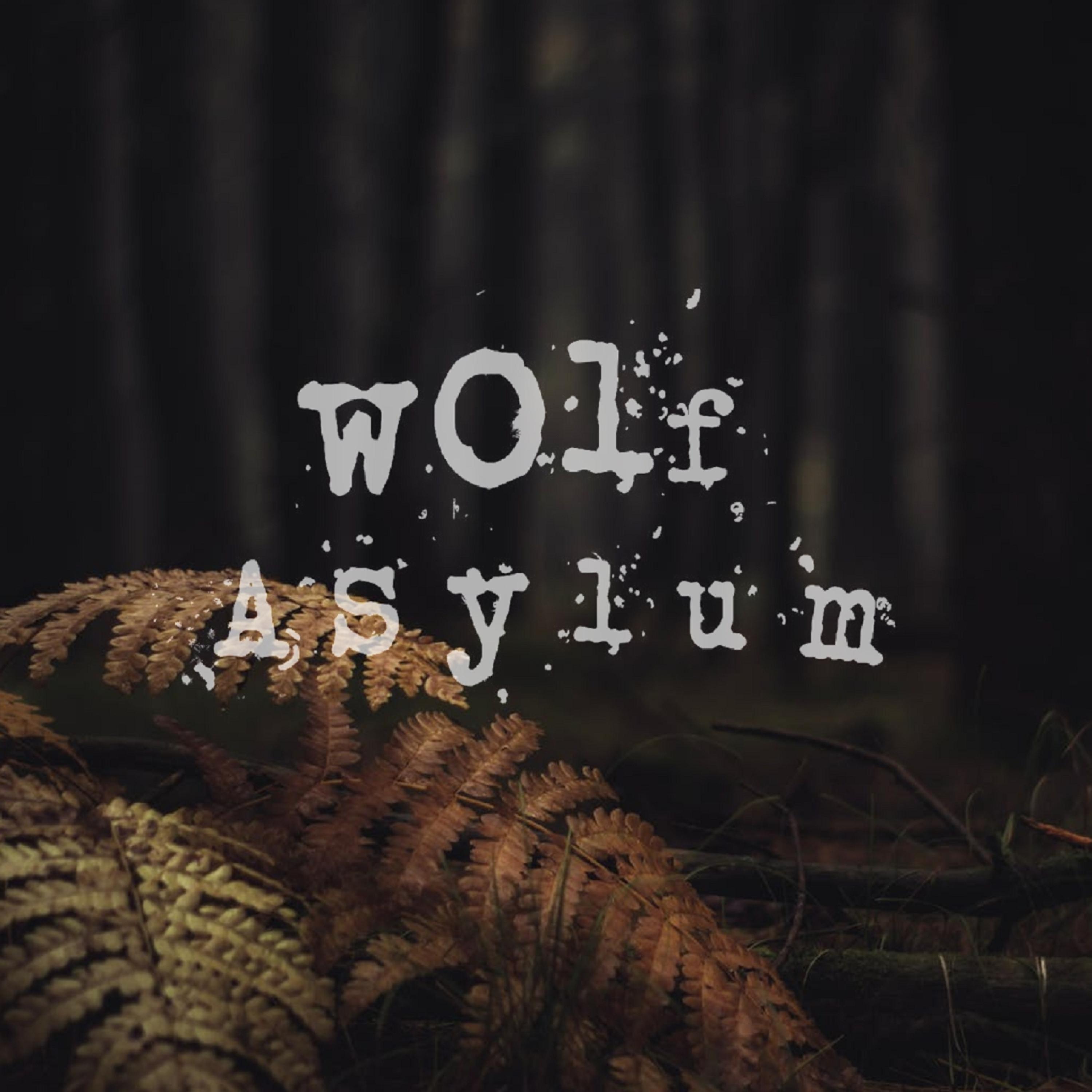 I'm Falling Apart (Slowly) - Wolf Asylum - 单曲 - 网易云音乐