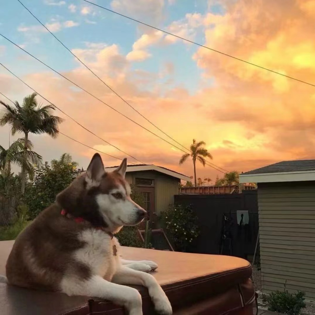 包房串开场（Dj小海 Funkyhouse） - DJXH-VIP私人定制 - 电台节目 - 网易云音乐