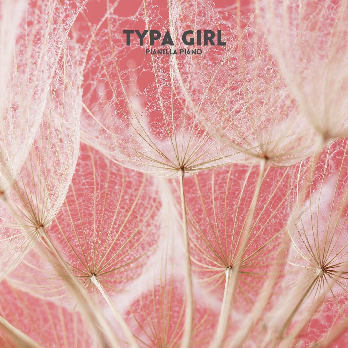 Typa Girl (Piano Version) - Pianella Piano - 专辑 - 网易云音乐