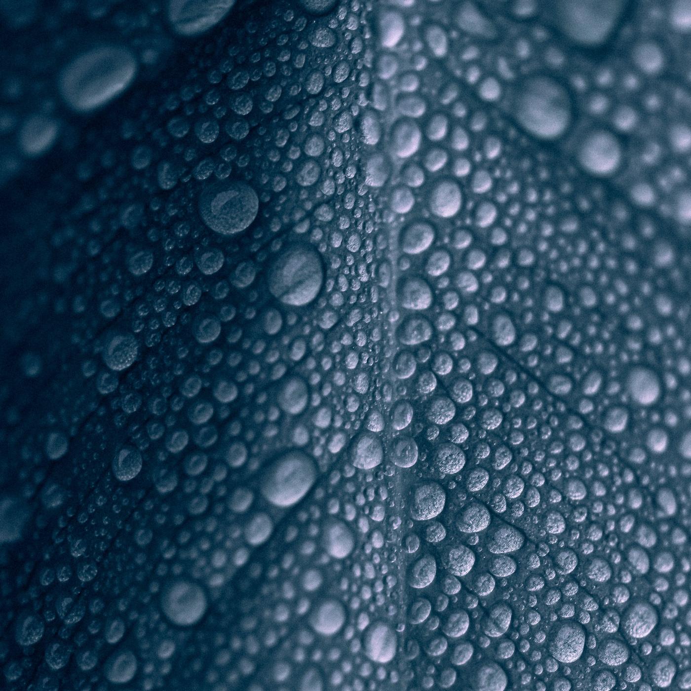 Gentle Thunderstorms And Rain Sounds - Meditation Rain Sounds/Rain for ...