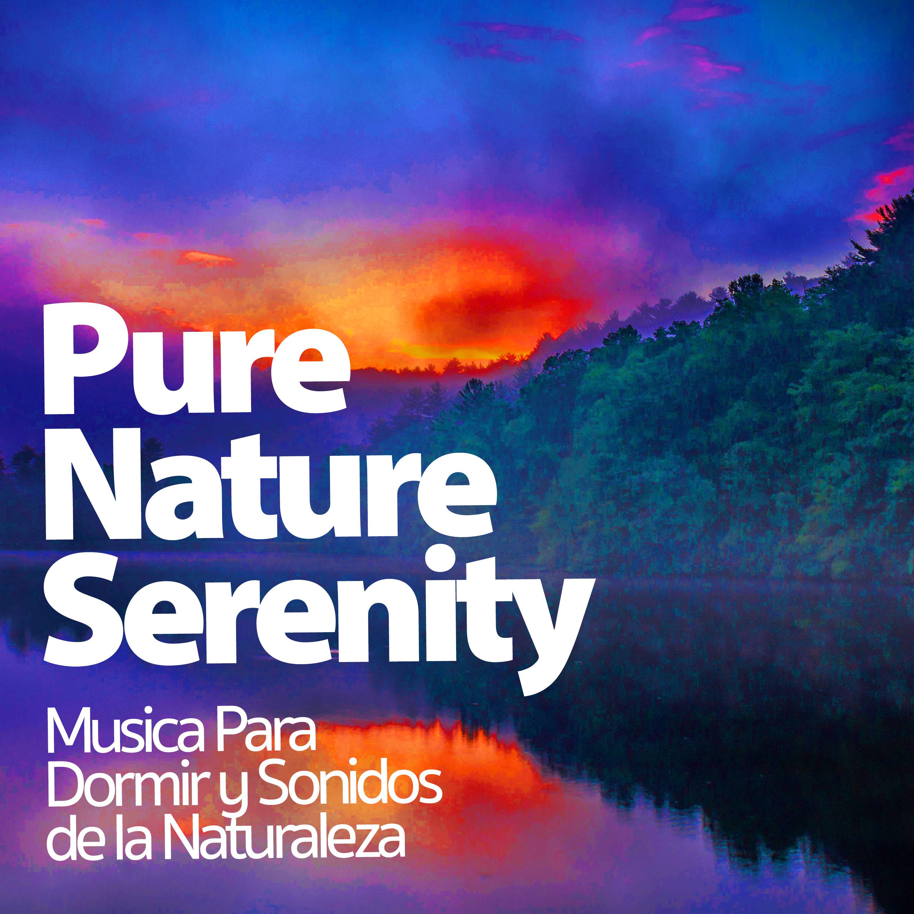 Nature Songs - Musica Para Dormir y Sonidos de la Naturaleza - 单曲 - 网易云音乐