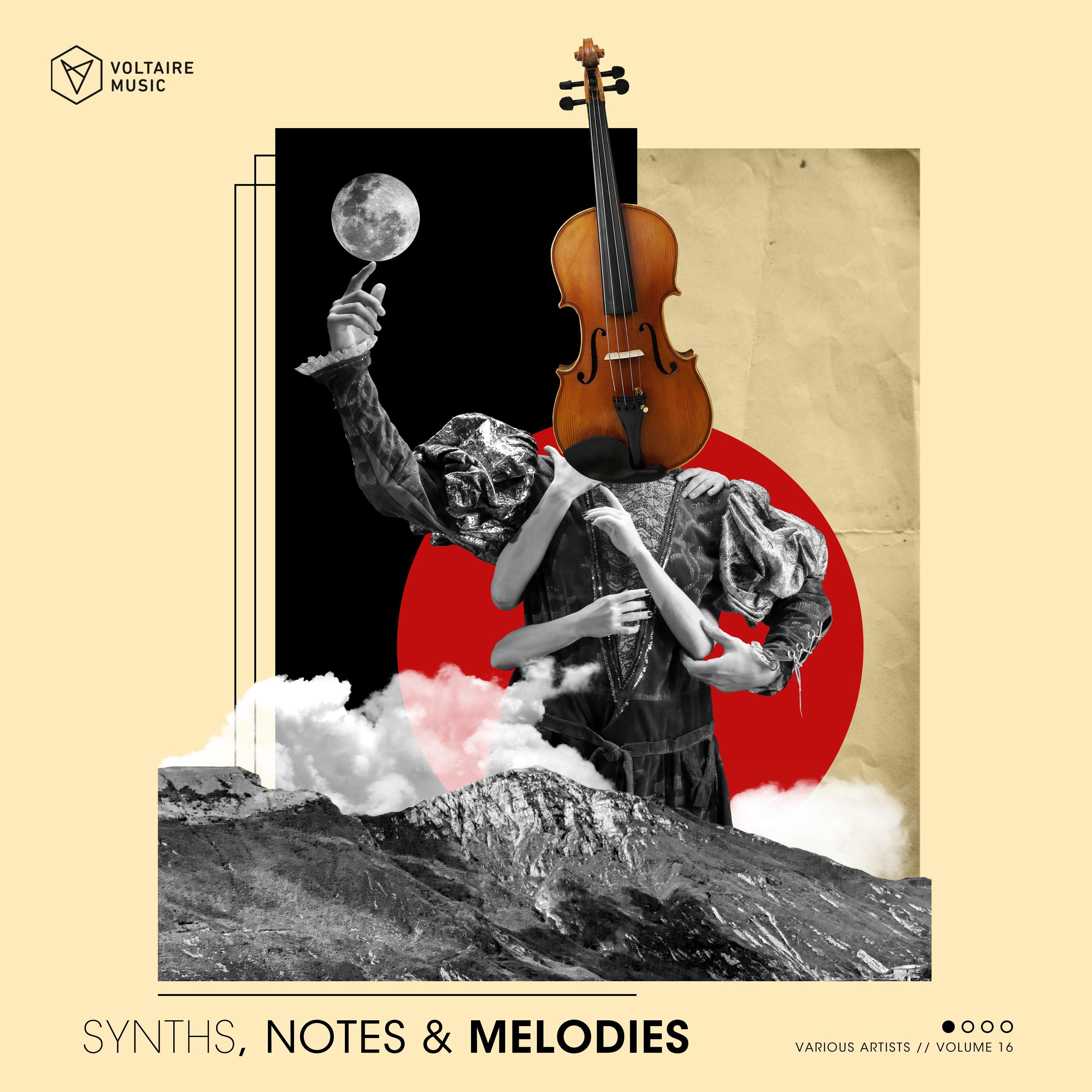Synths, Notes & Melodies, Vol. 16 - Various Artists - 专辑 - 网易云音乐