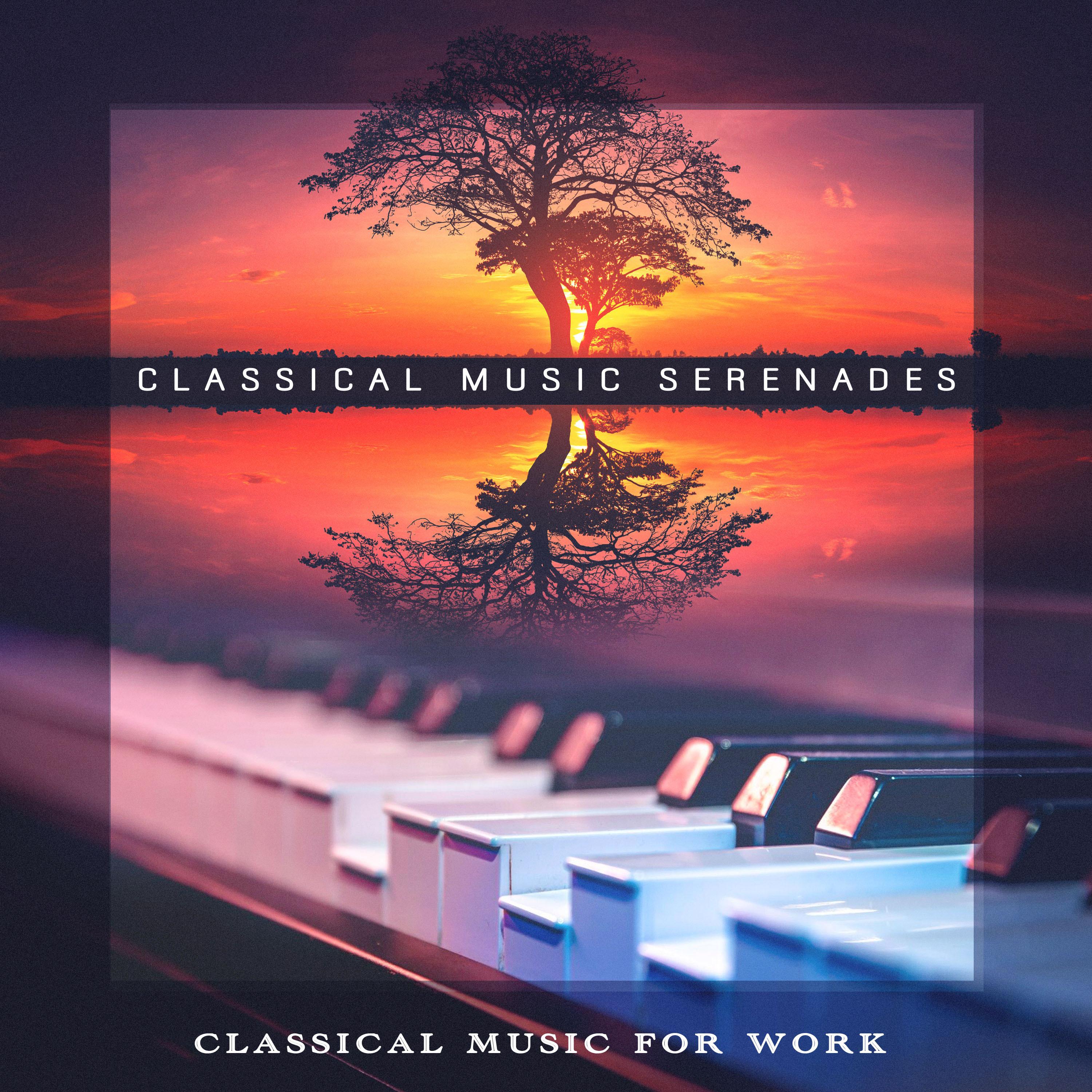Town Performance - Classical Music For Work - 单曲 - 网易云音乐