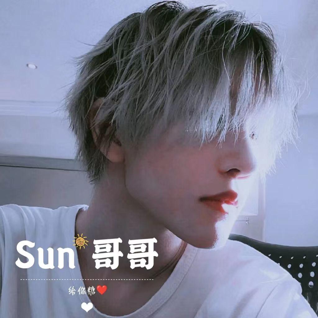 Sun - 歌手 - 网易云音乐