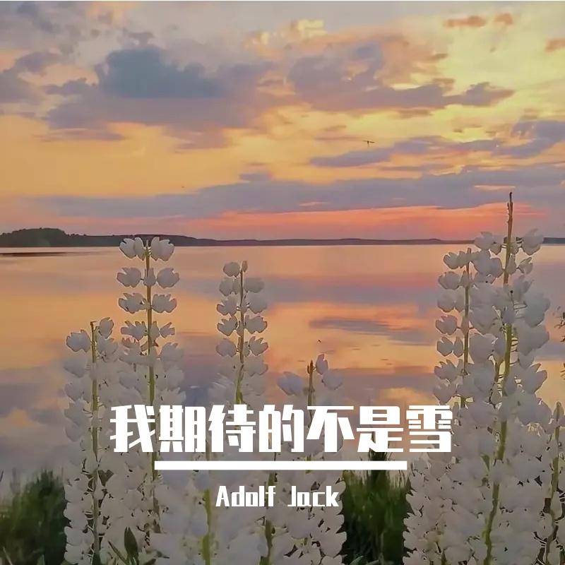 张妙格 - 我期待的不是雪(Vina House) - Adolf Jack - 单曲 - 网易云音乐