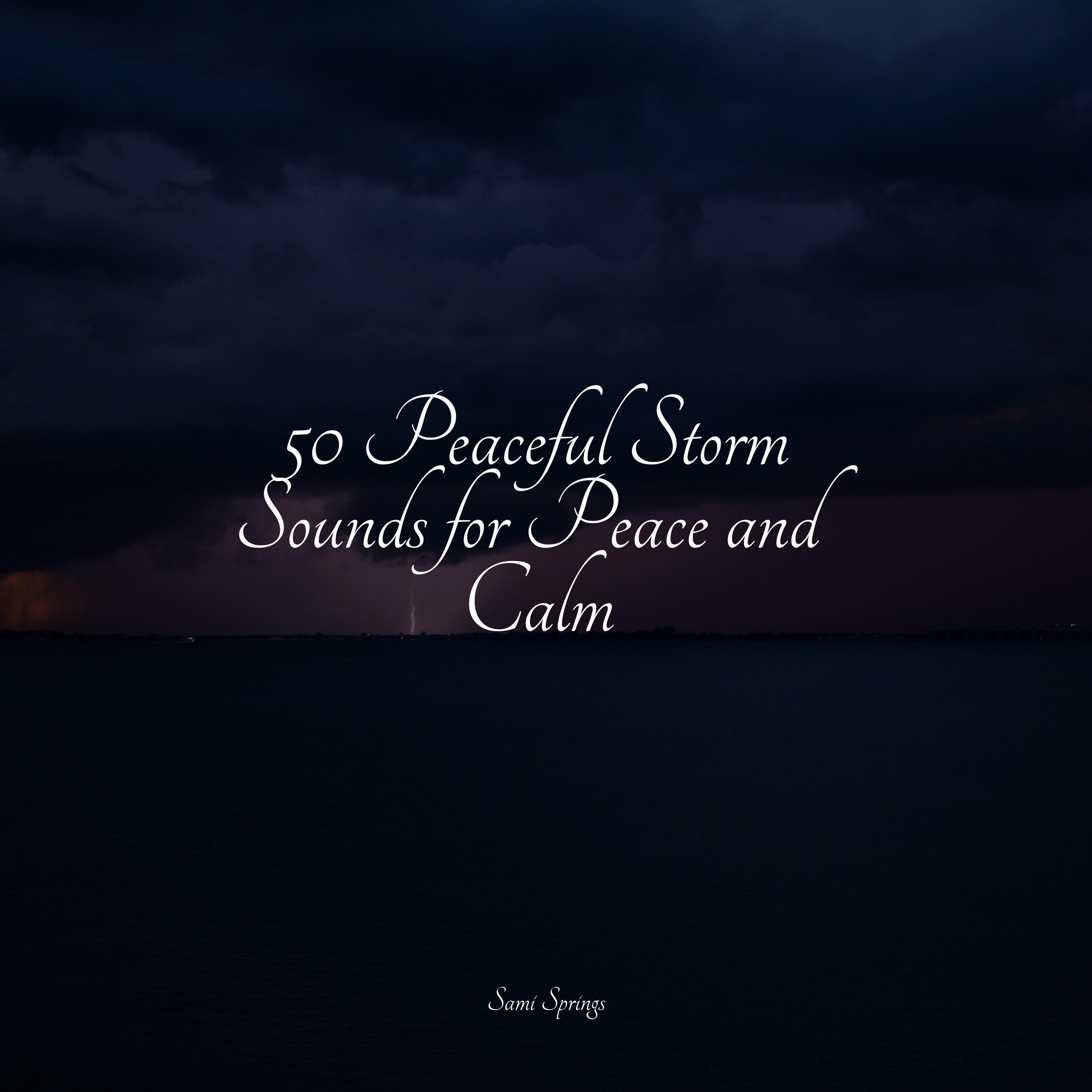 50 Peaceful Storm Sounds for Peace and Calm - Pro Sound Effects Library ...