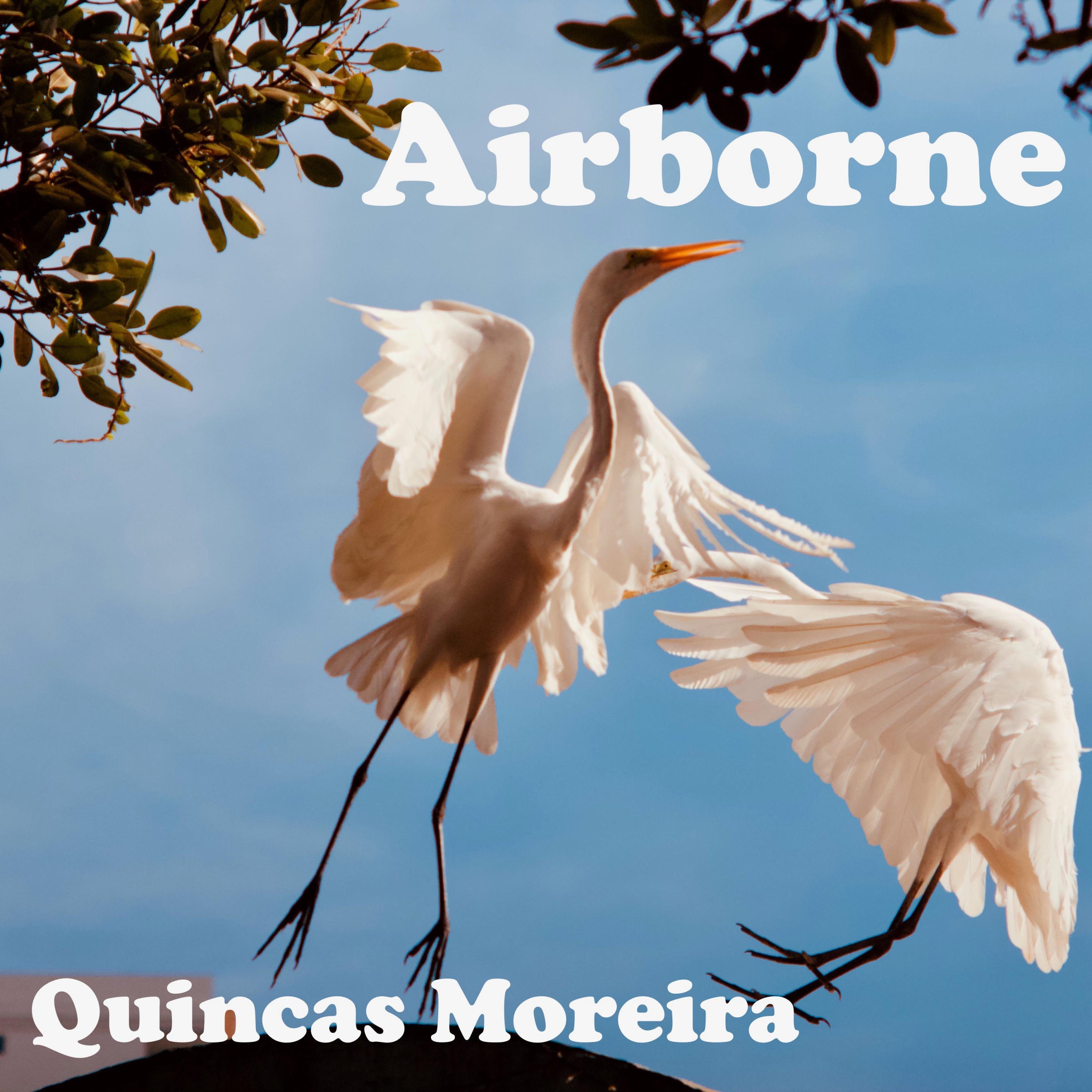 Entire - Quincas Moreira - 单曲 - 网易云音乐