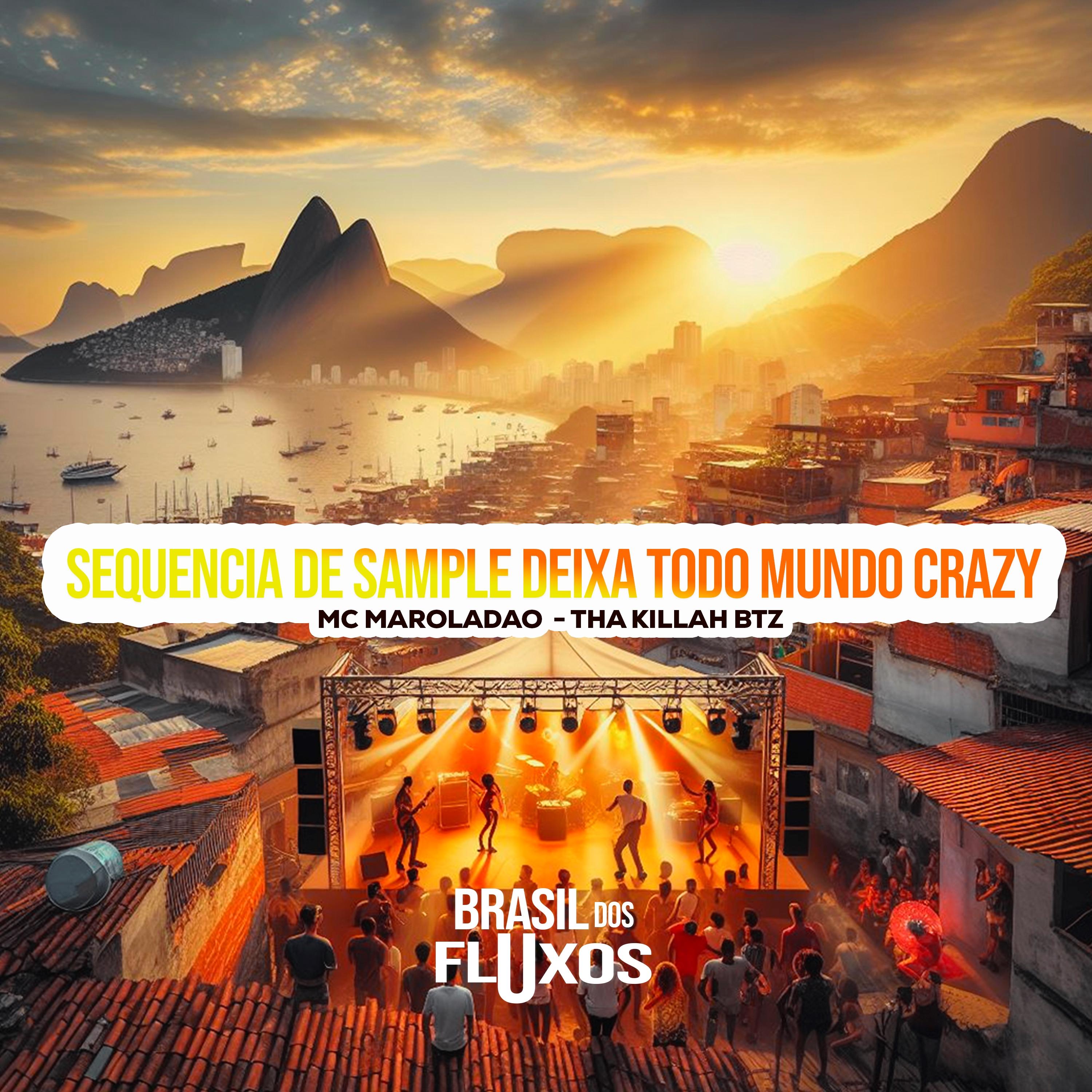 SEQUÊNCIA DE SAMPLE DEIXA TODO MUNDO CRAZY - Mc Maroladão/Tha Killah ...