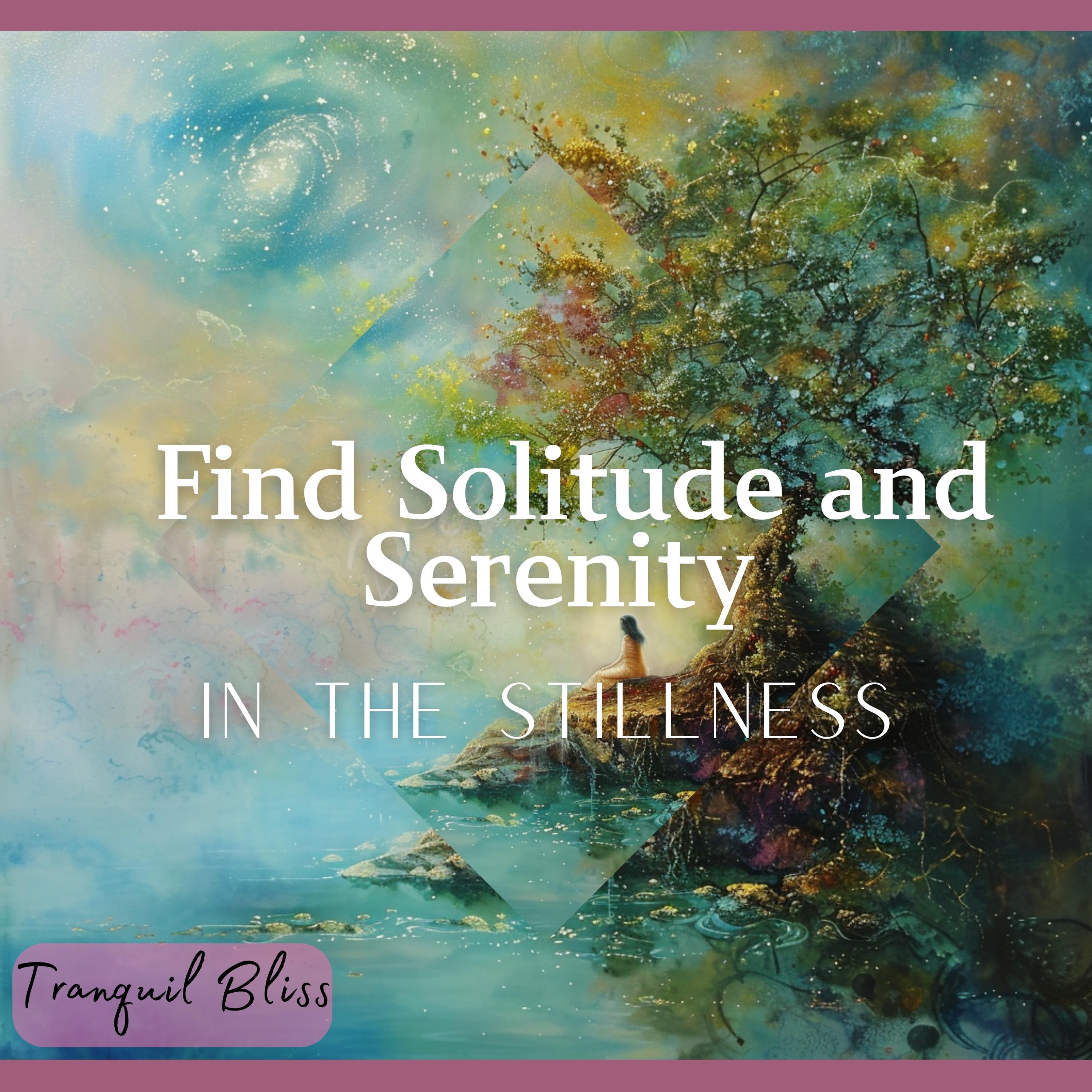 Find Solitude and Serenity in the Stillness - Tranquil Bliss - 专辑 - 网易云音乐