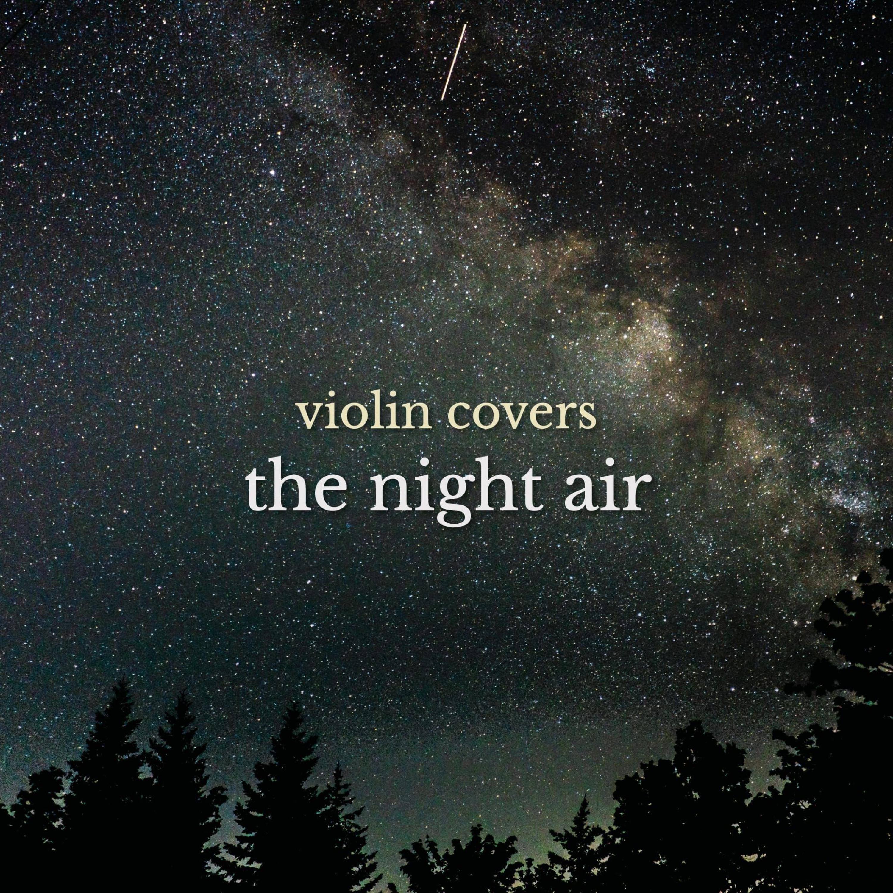 the night air - VIOLIN COVERS - 专辑 - 网易云音乐