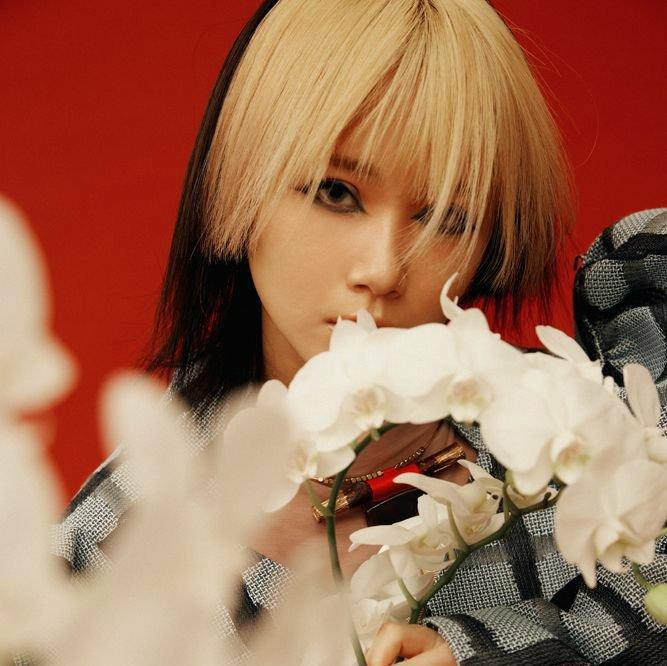 Reol『れをる』全曲目收录 - 歌单 - 网易云音乐