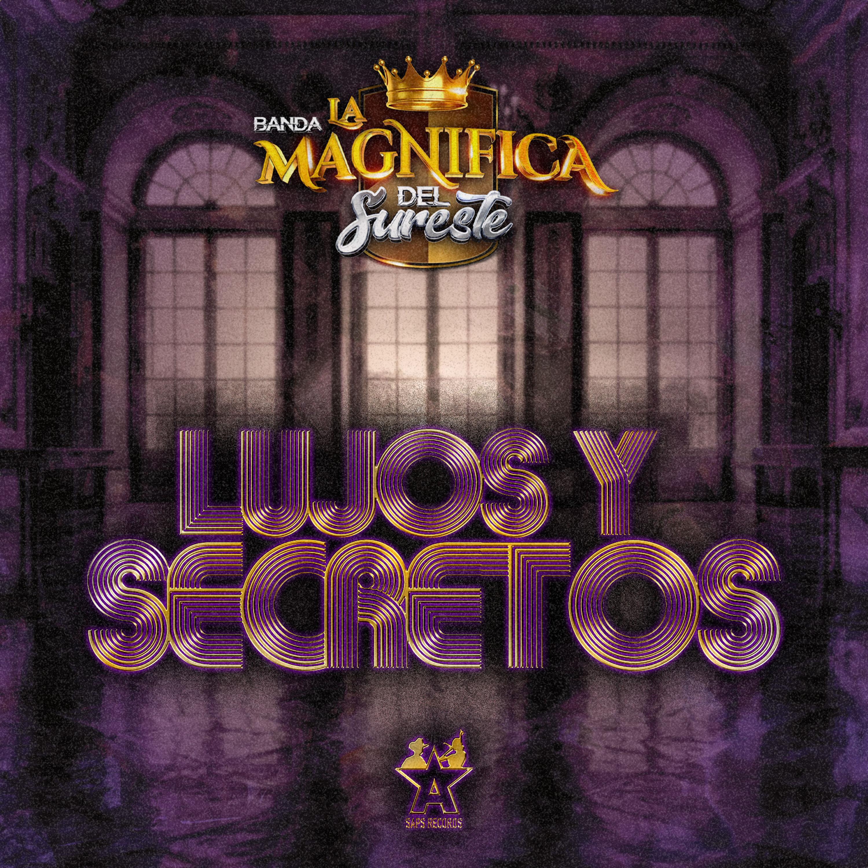 Lujos y Secretos - Banda La Magnífica Del Sureste - 专辑 - 网易云音乐