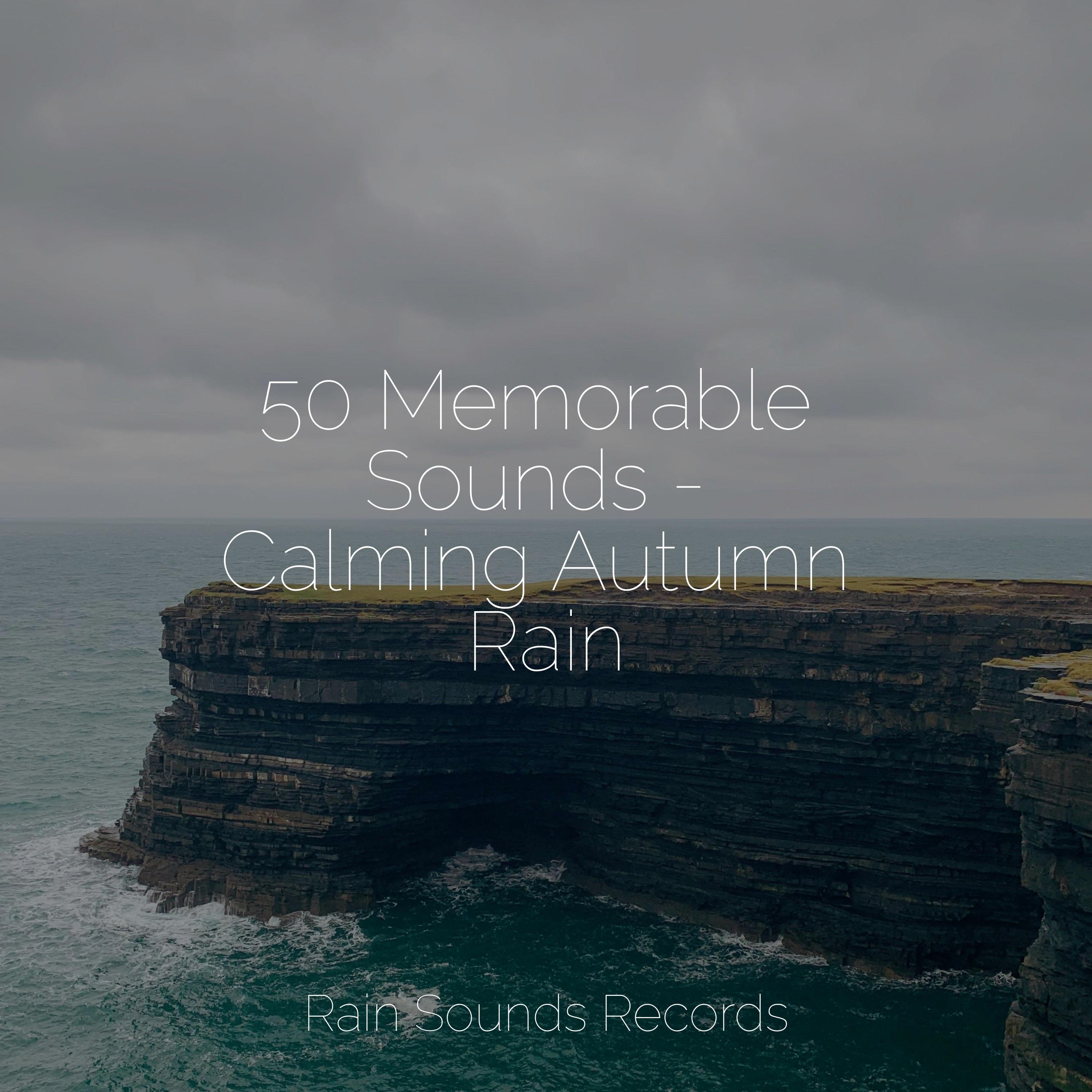50 Memorable Sounds - Calming Autumn Rain - Sounds of Nature Relaxation ...