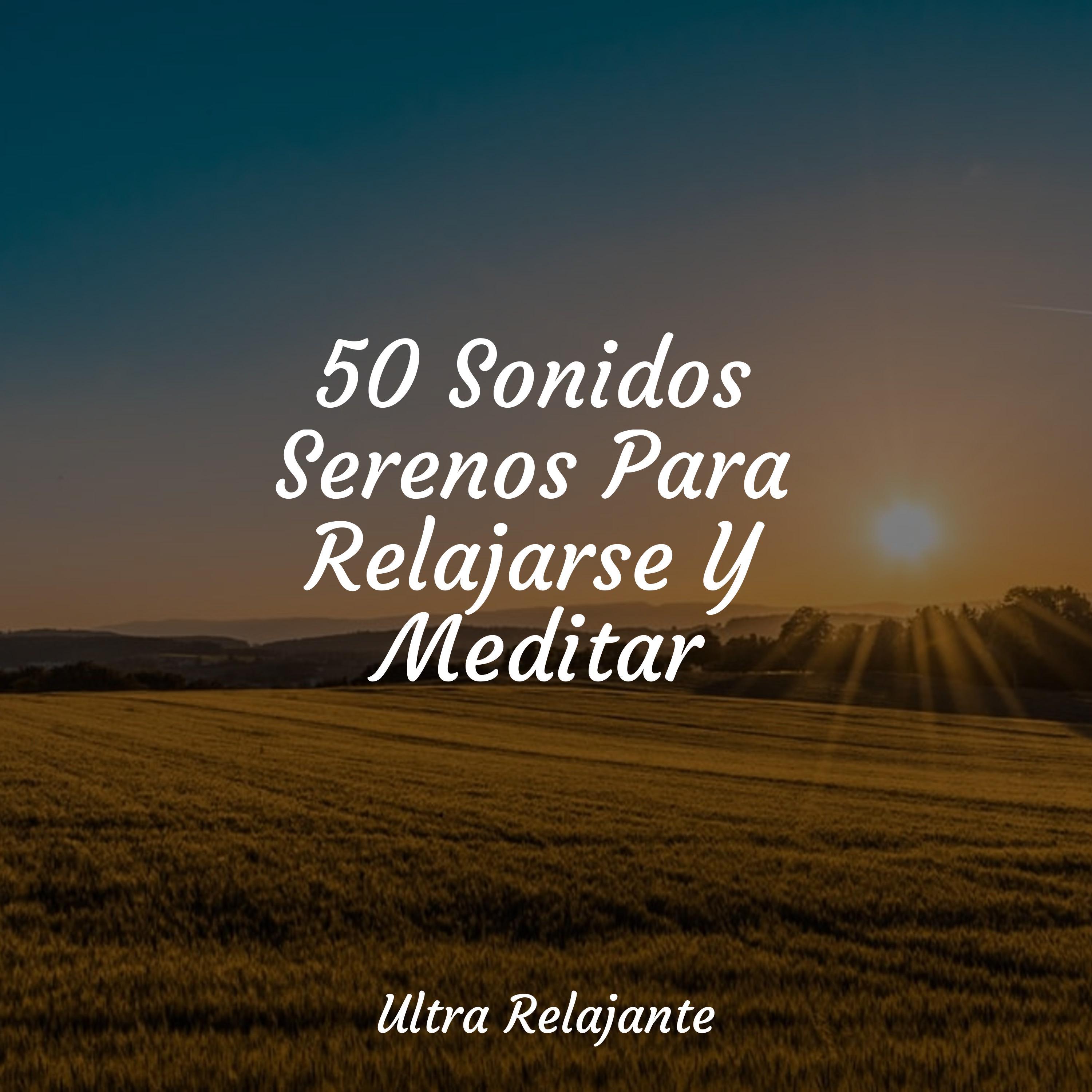 Alimenta Tu Alma - Unidad de música zen relajante/Música relaxante/Zona ...