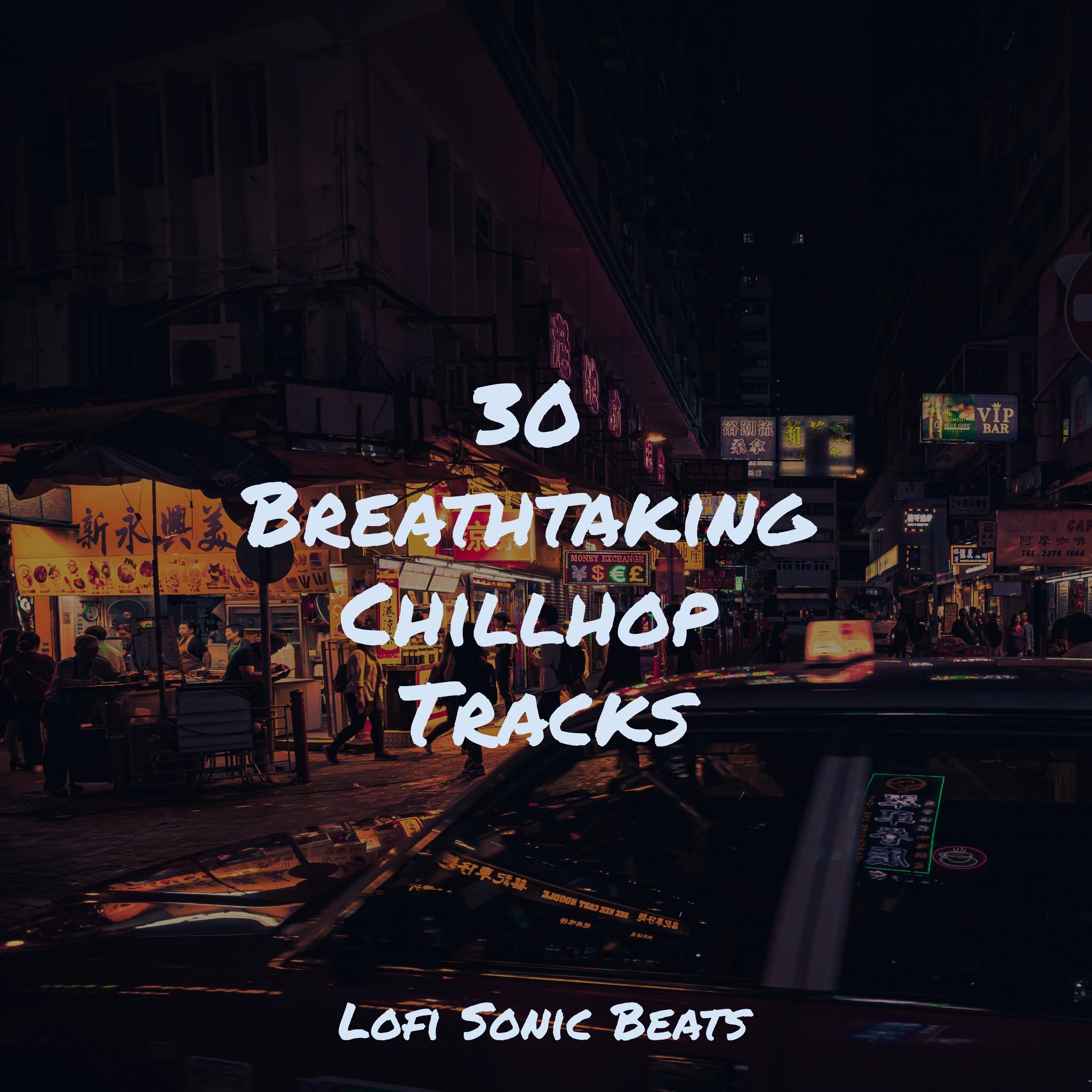 30 Breathtaking Chill Tracks - Chill Hip-Hop Beats - 专辑 - 网易云音乐