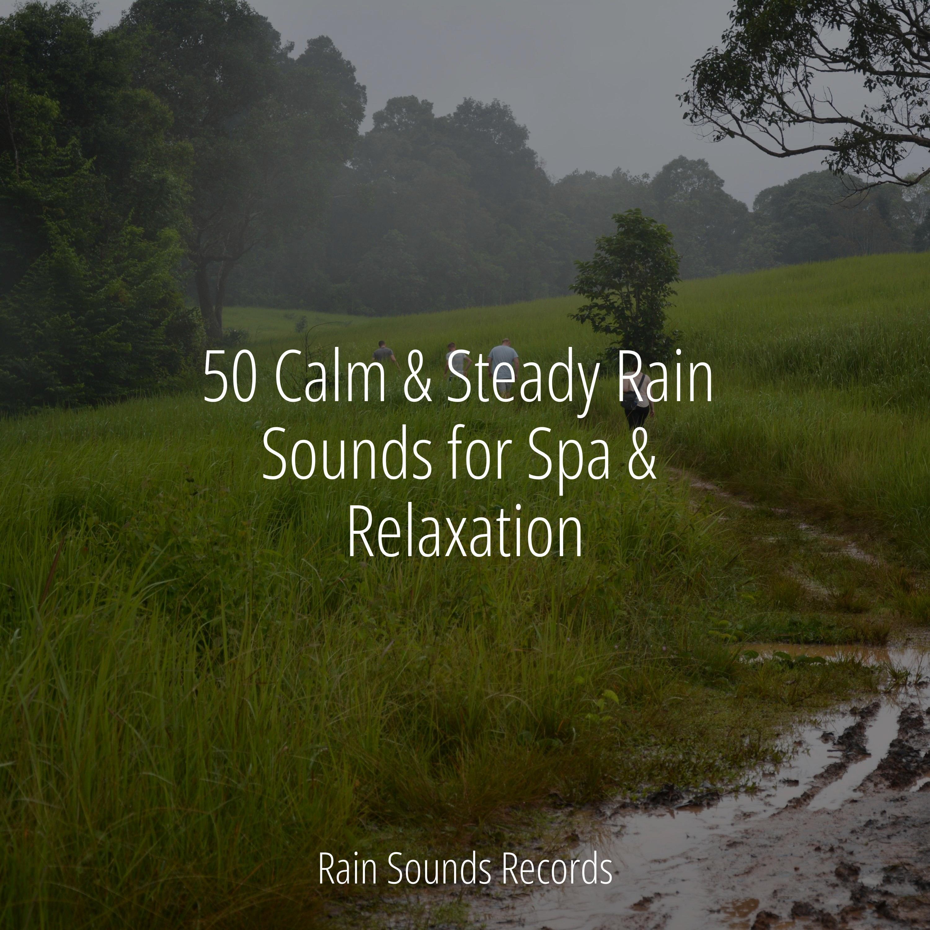 Undulating Tide Symphony - Music For Absolute Sleep/Instrumental/Bird ...