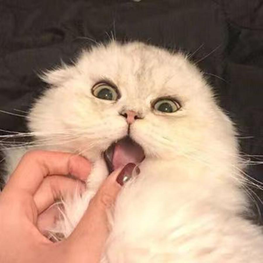 我走过 - Dwei - 单曲 - 网易云音乐