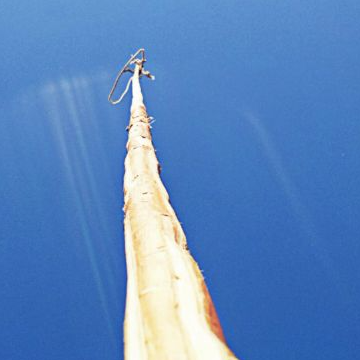 mini hair - MongoL Saihan Duu - 电台节目 - 网易云音乐