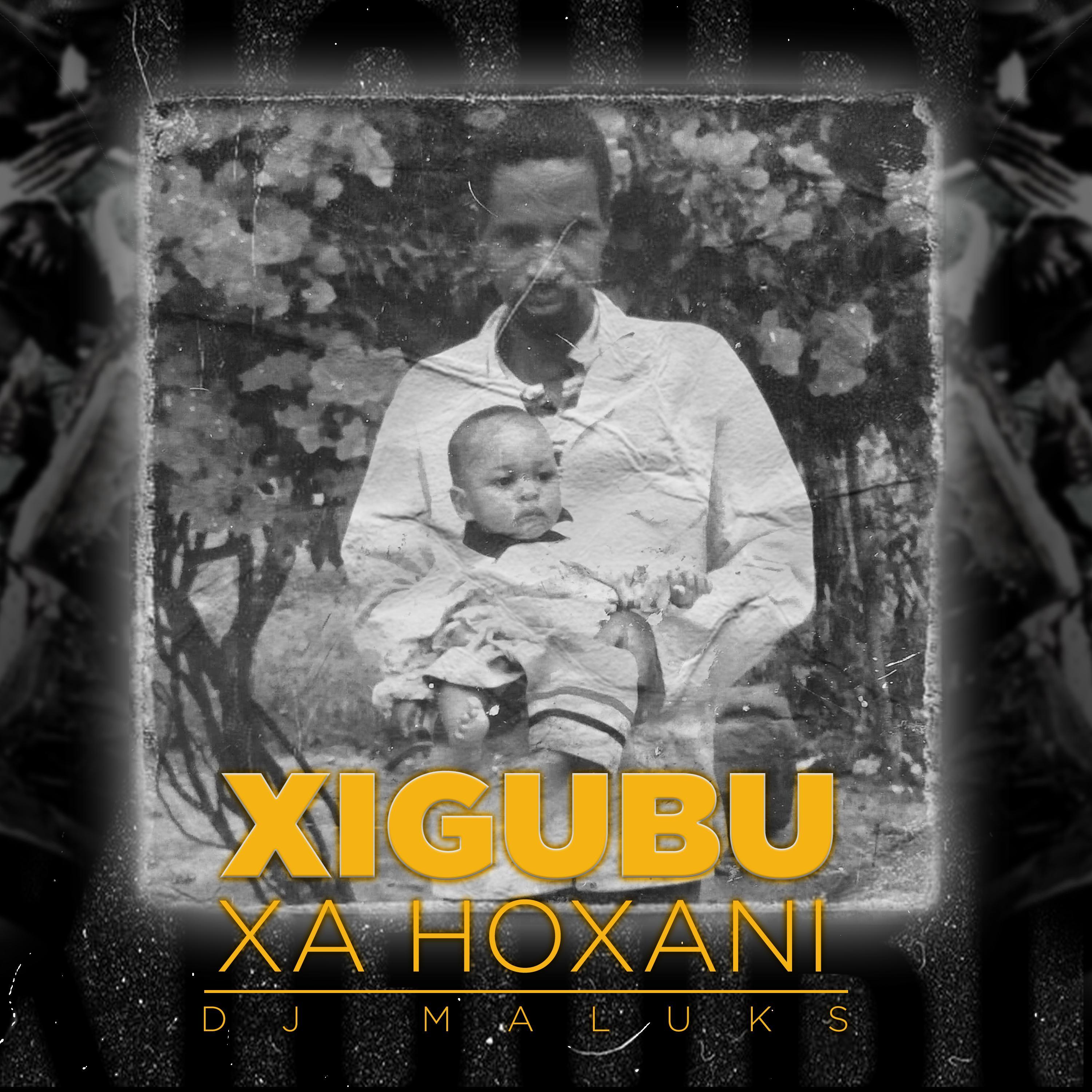 Melodies of ladysmith (feat. Gajeni keys,Mr kv,Dfwne & Royster) - Dj ...