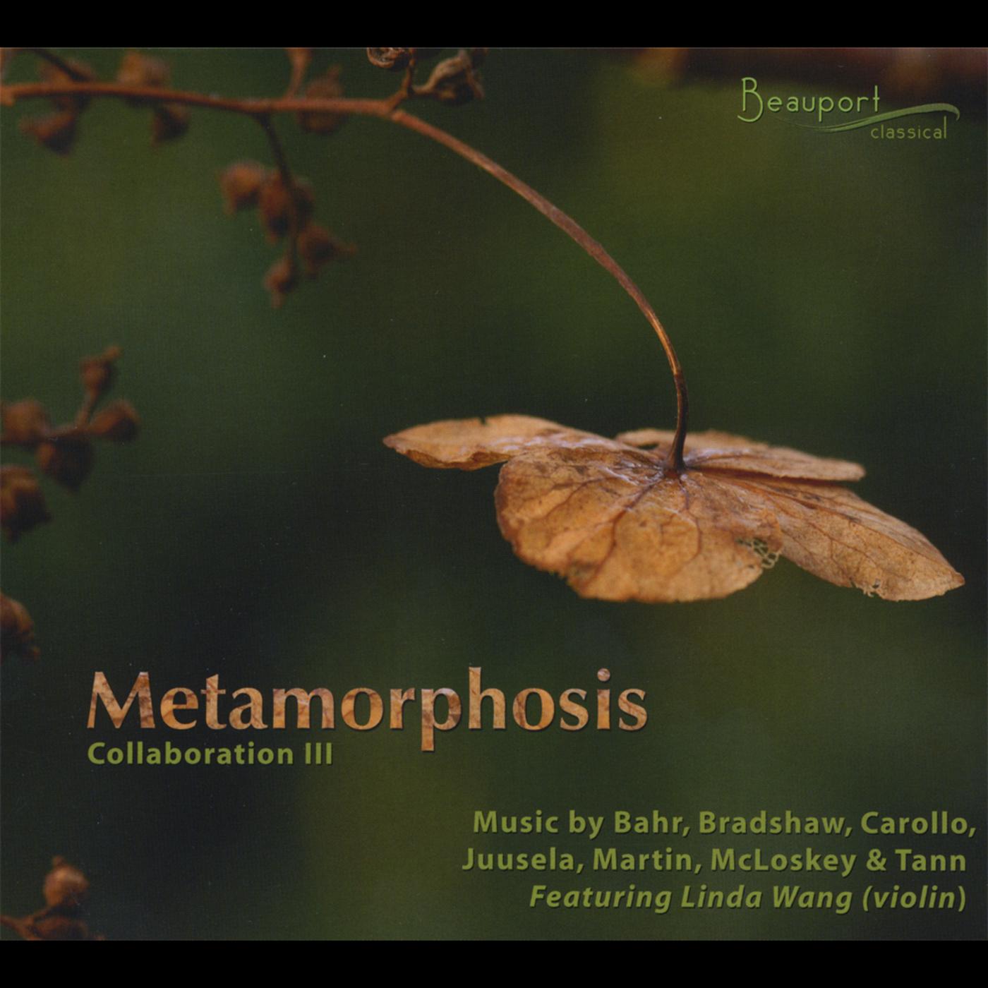 Metamorphosis - Collaboration III - Various Artists - 专辑 - 网易云音乐